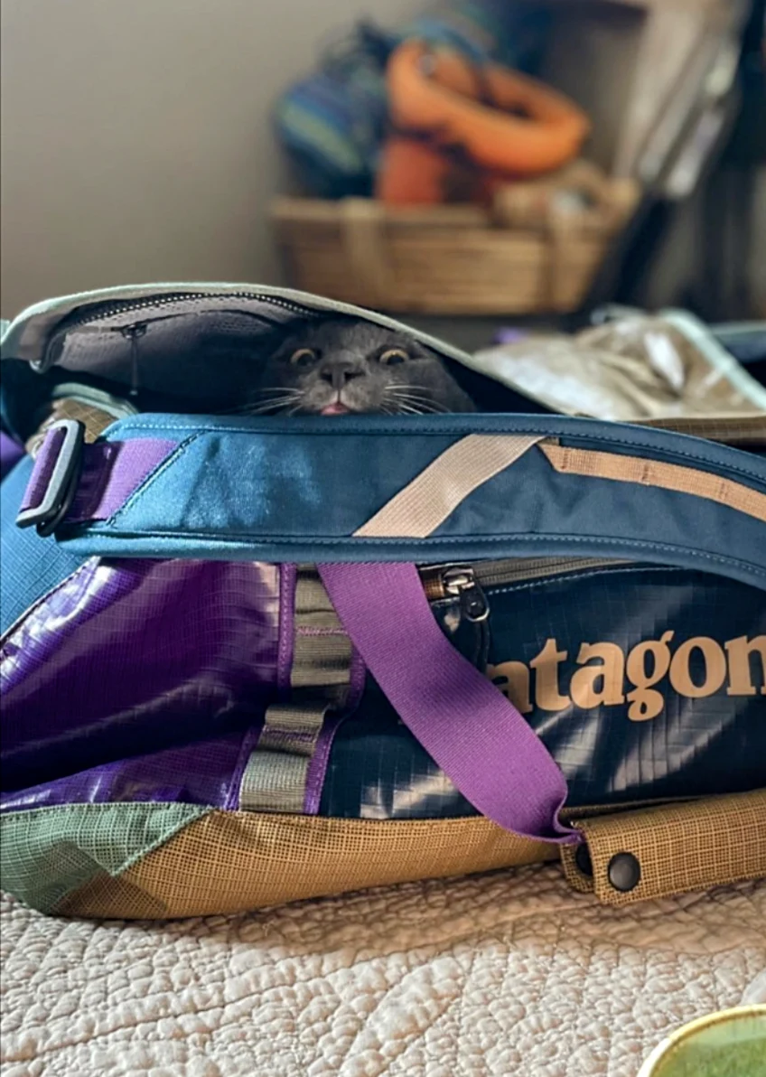 bag check | Scrolller