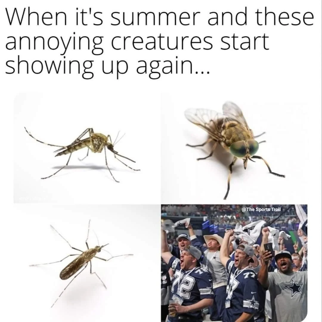 This gonna be our year. How about dem Cowboys? | Scrolller