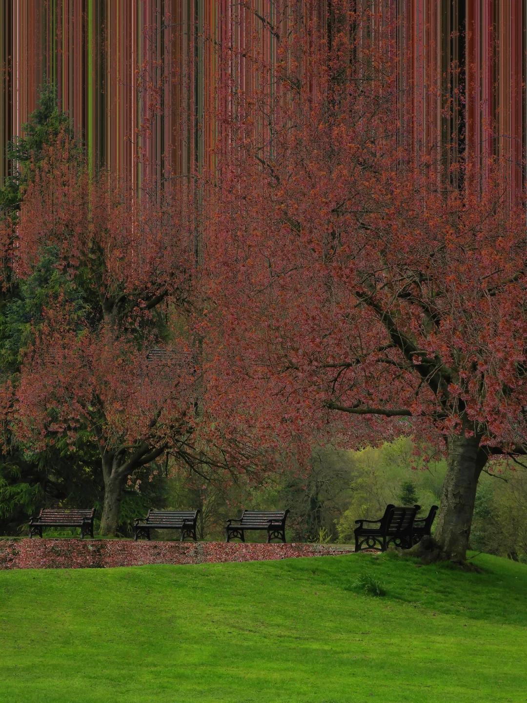 [3456x4607] 'Progress' [OC] | Scrolller