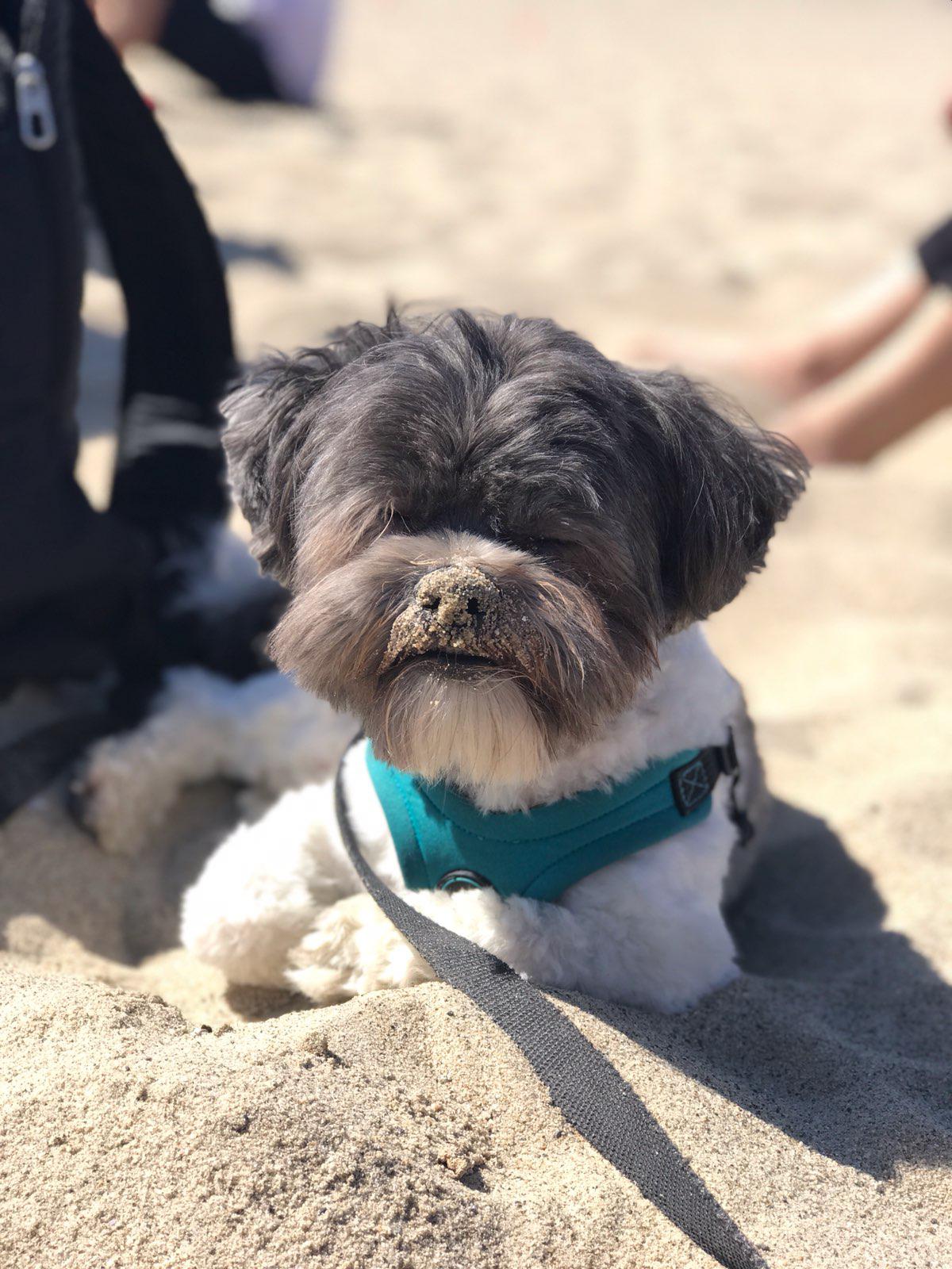 Sandy Tzu | Scrolller