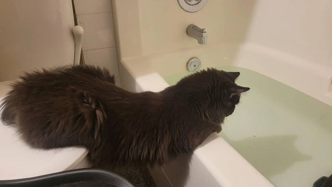 Comfortable Scrolller