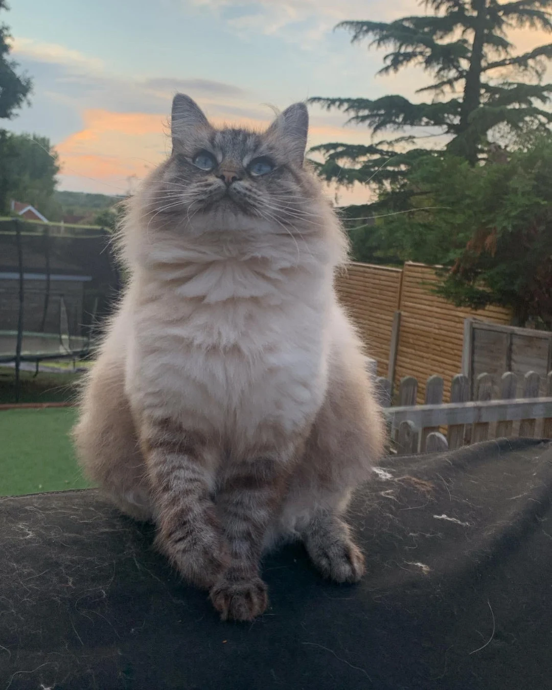 my girl storm | Scrolller