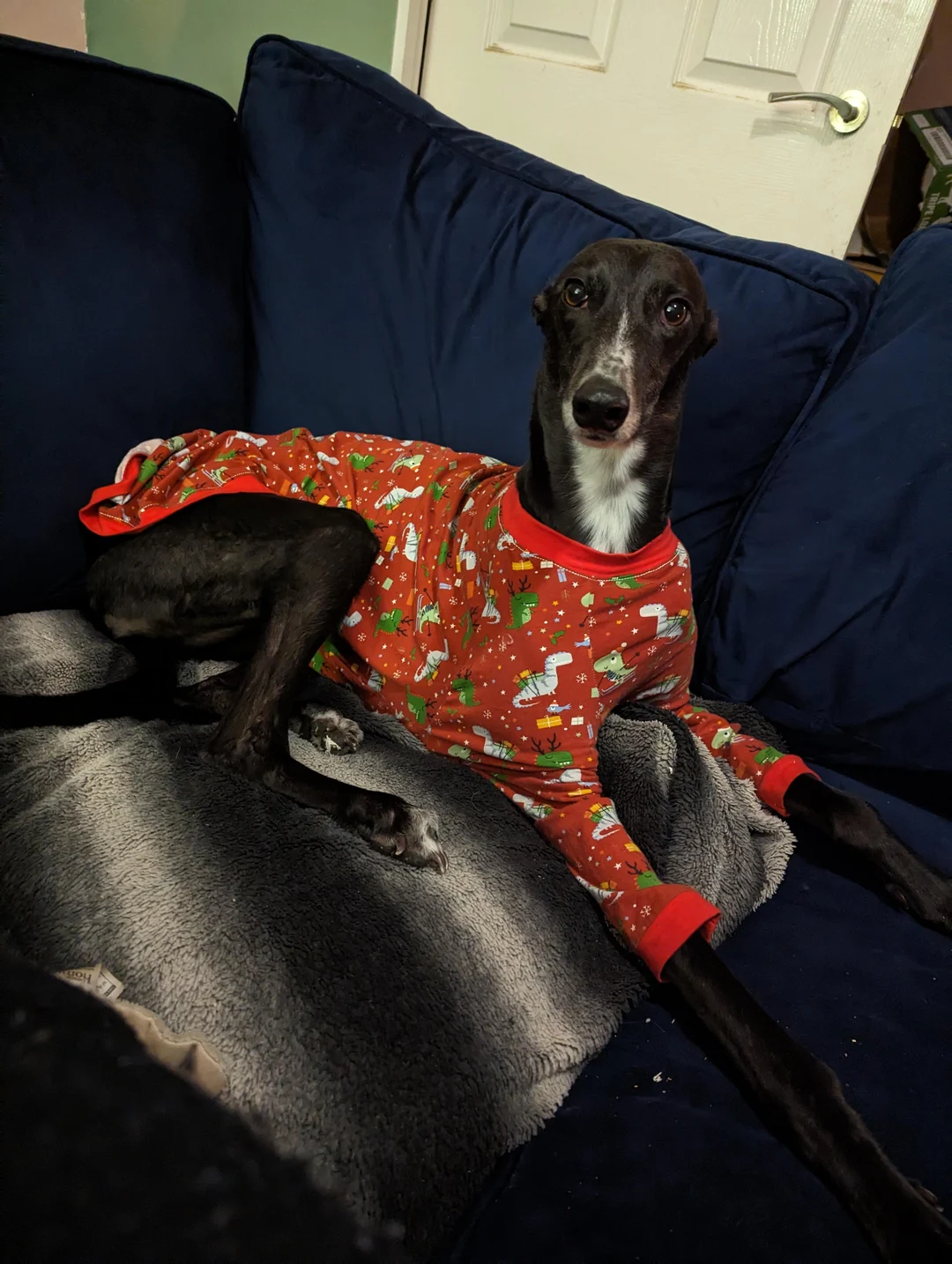 Sometimes when it's cold, I just take my ears off to keep them warm. | Scrolller