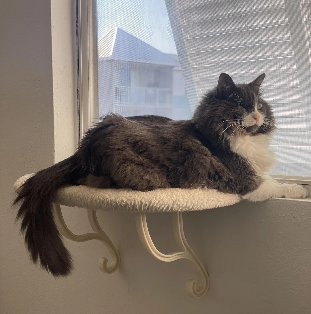 My floof | Scrolller