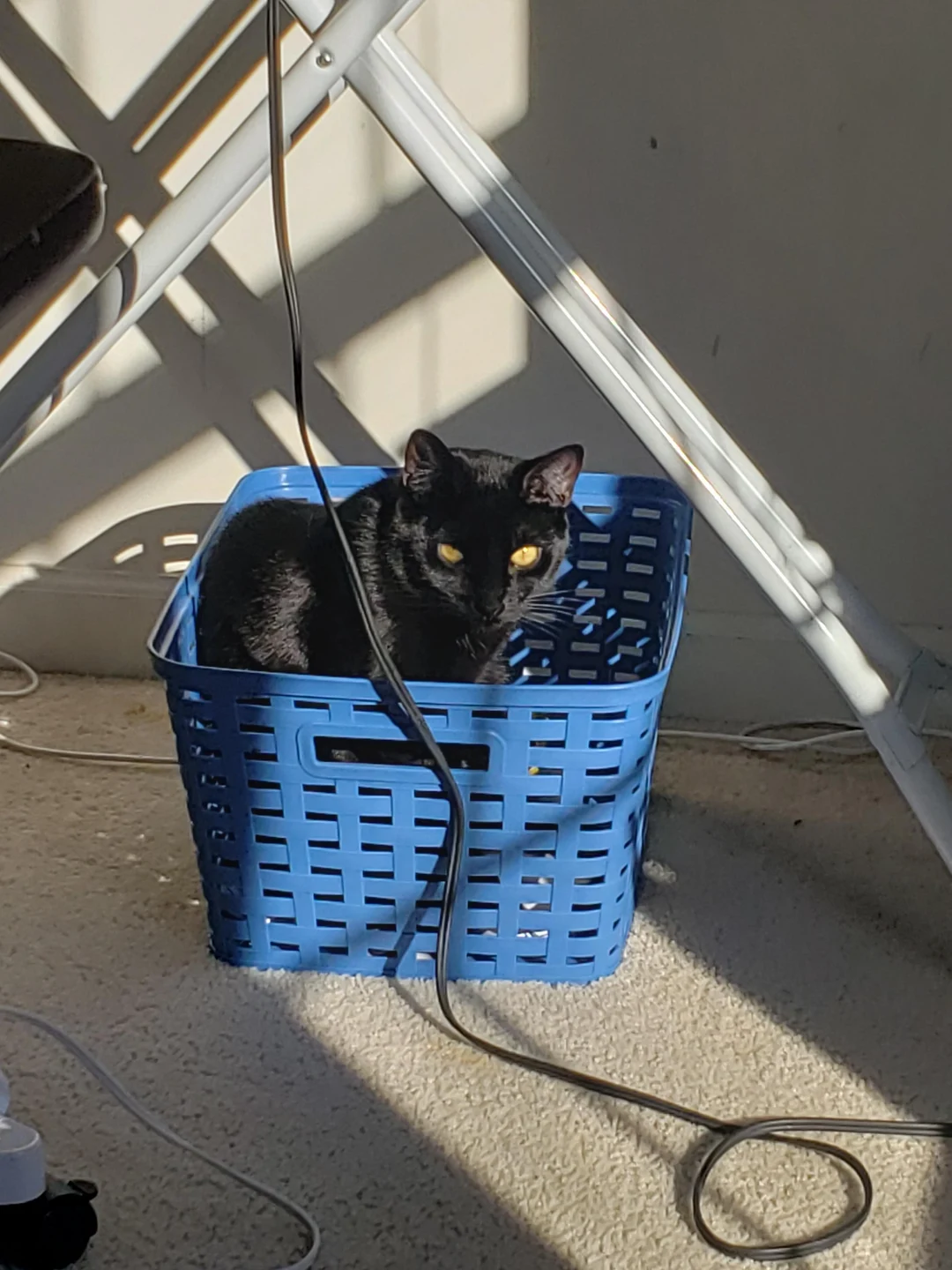 Quality time in the recycling bin. | Scrolller