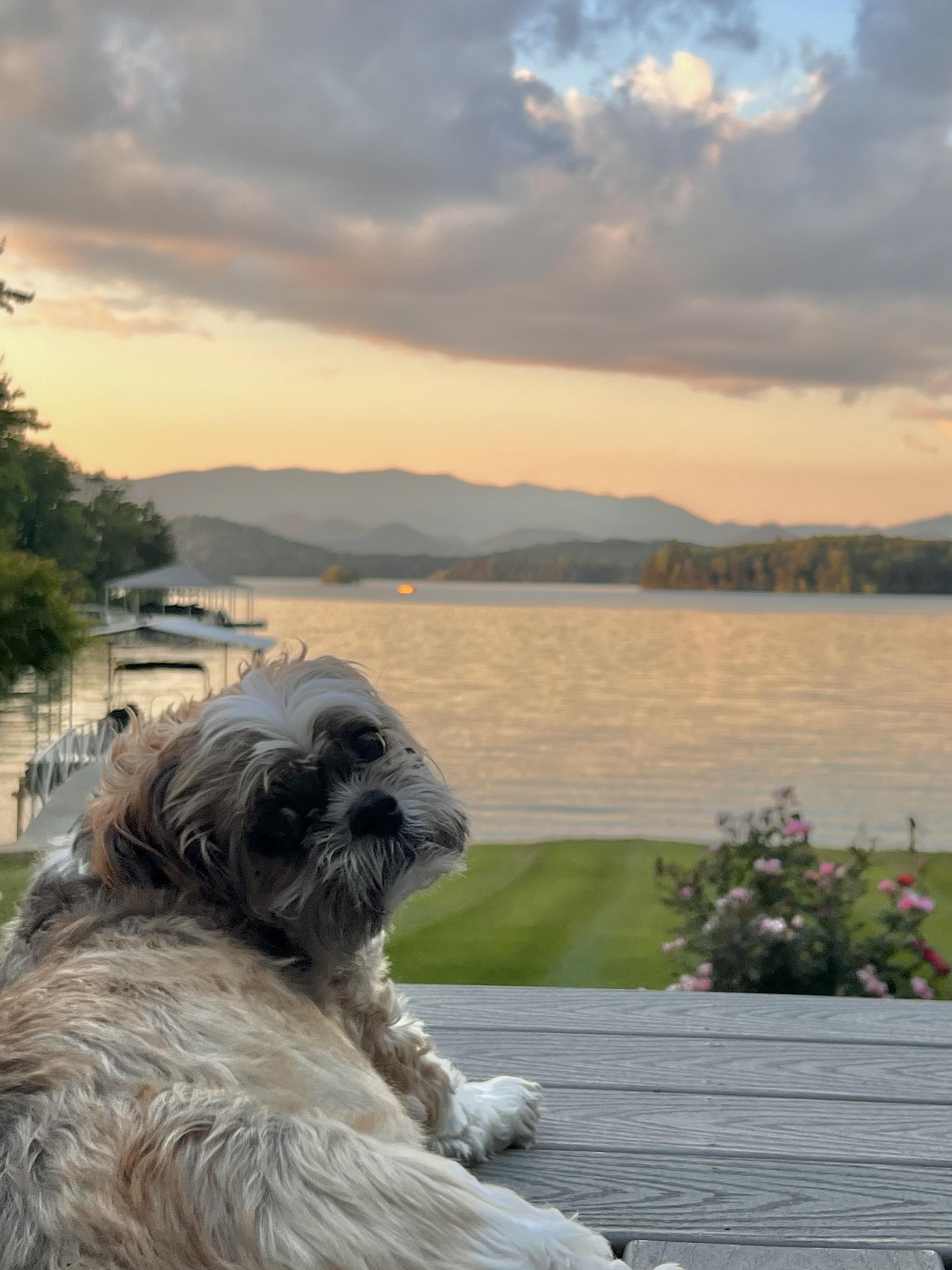 Oh hey, Butters. | Scrolller