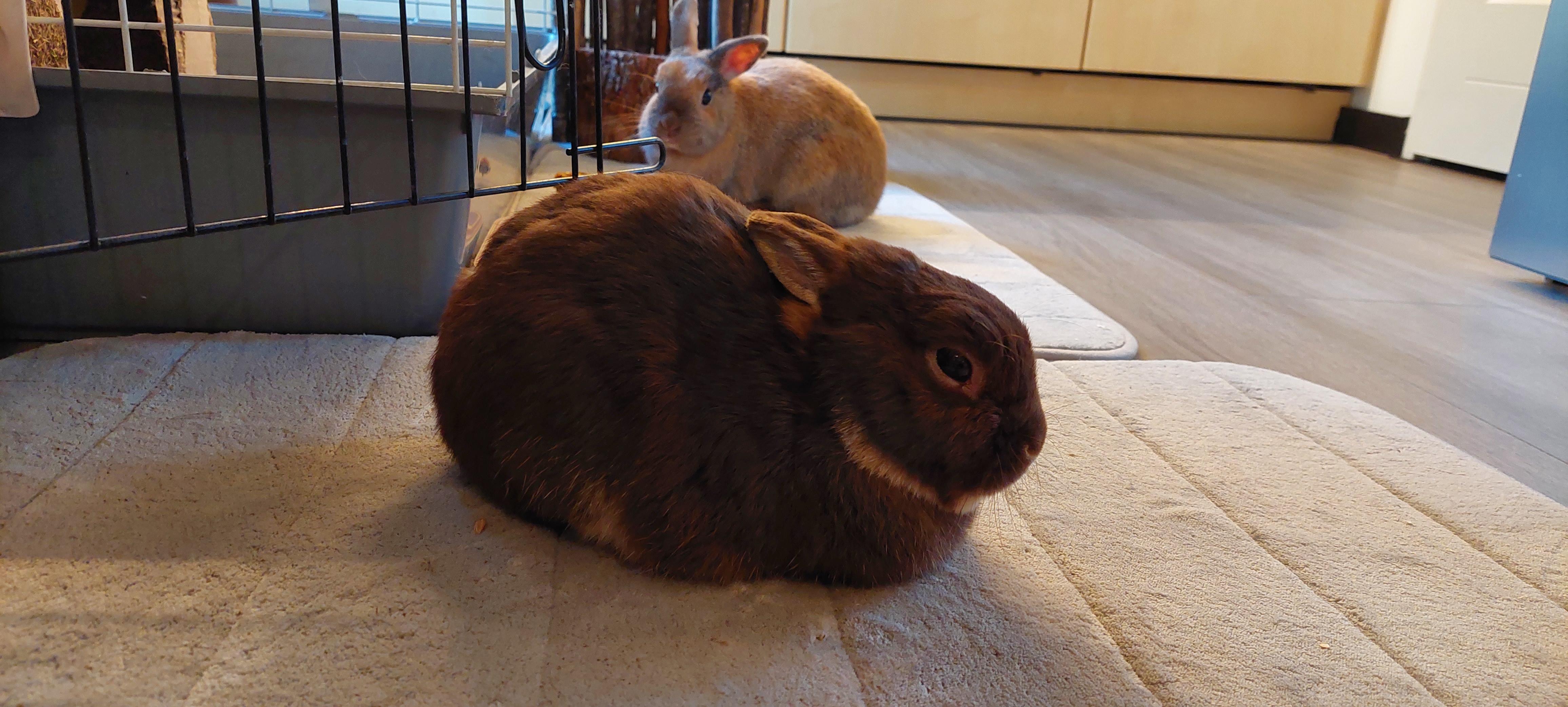 Rate the loaf | Scrolller