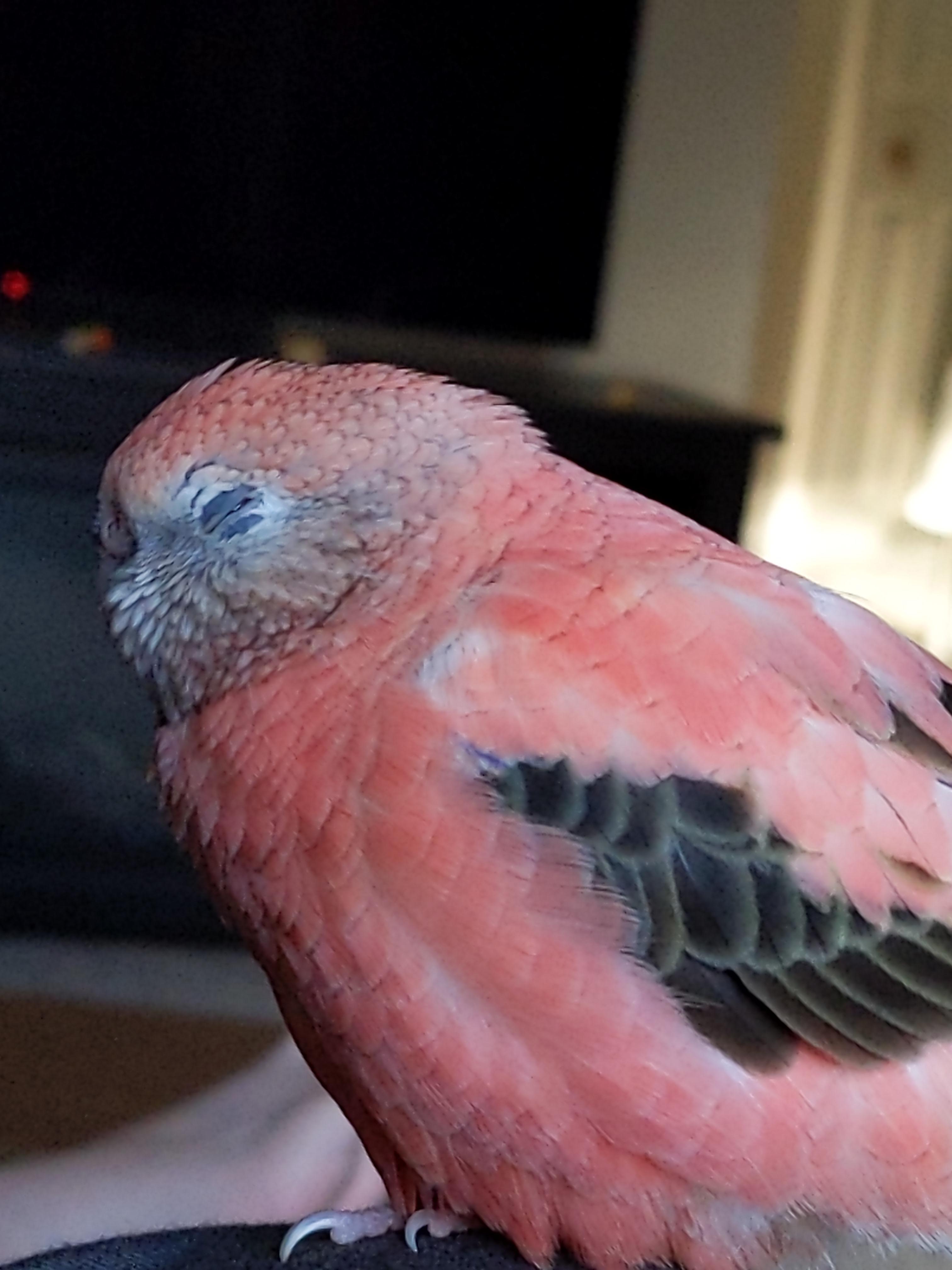 Cakeday post! meet my cuties! i love em all! | Scrolller