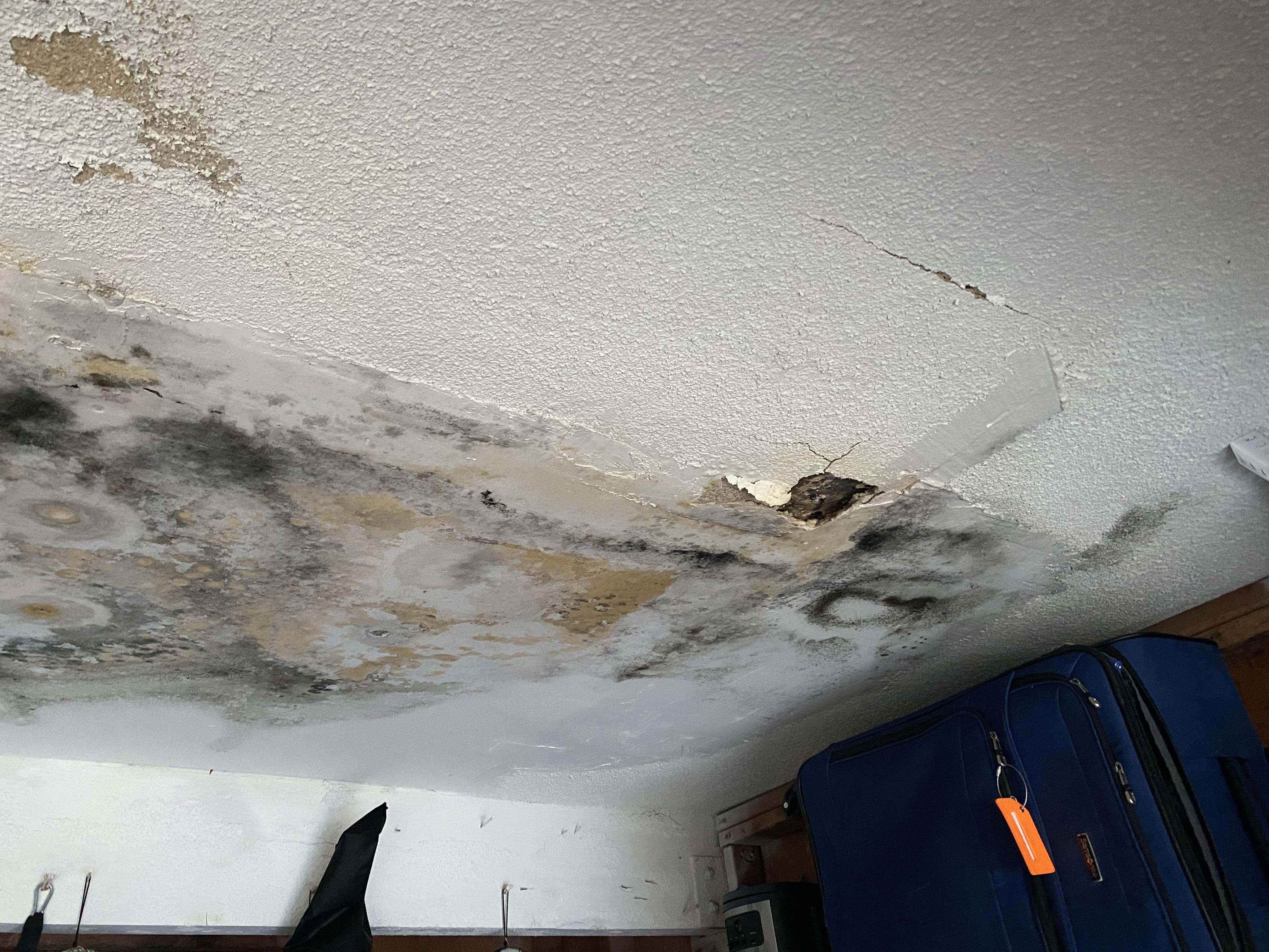 Concerns about drywall buckling | Scrolller