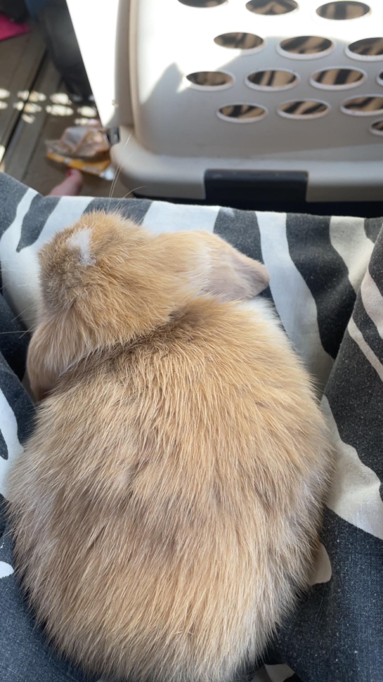 Finally got her today 😍🥹 | Scrolller