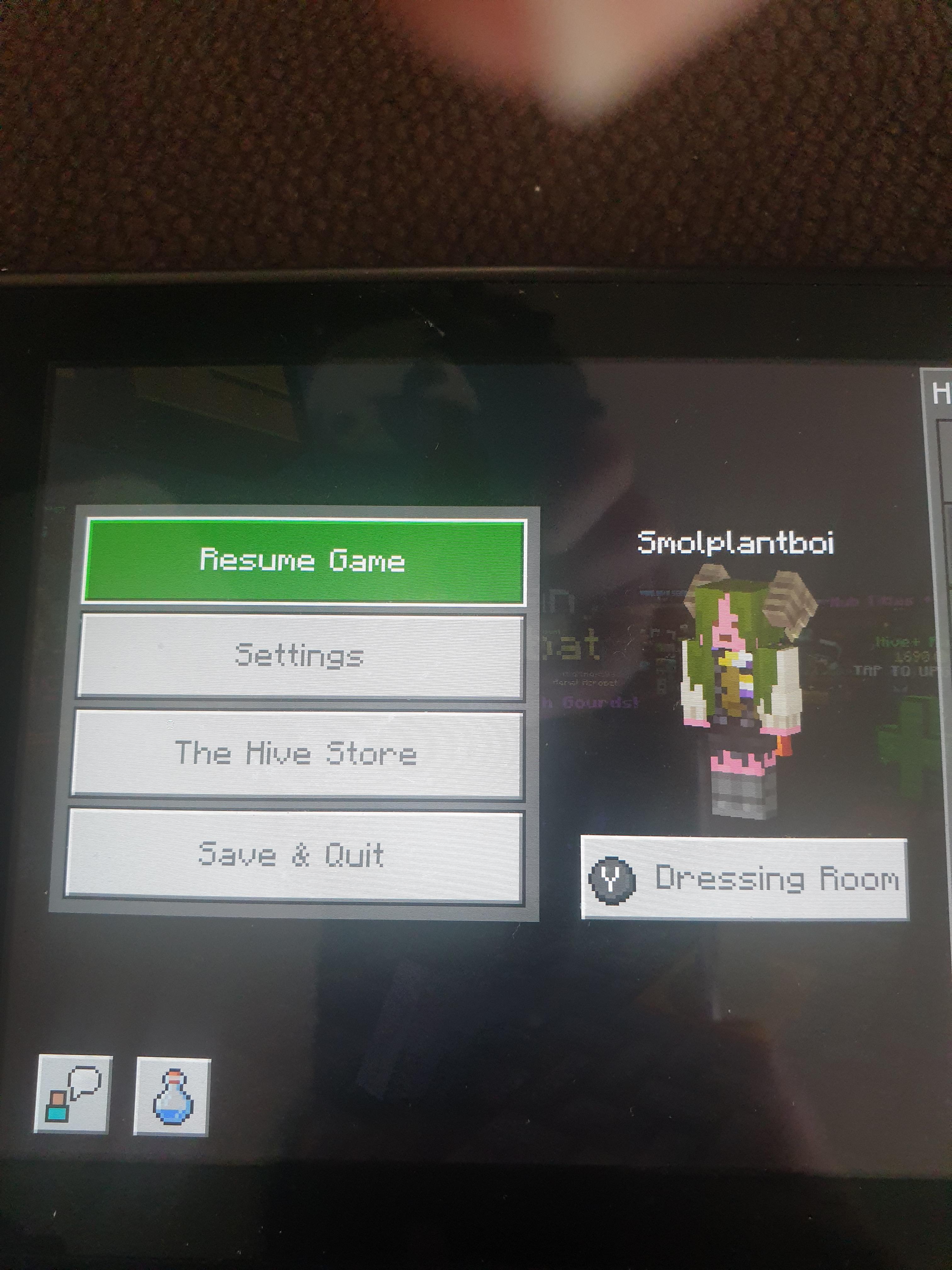 Can I use custom skins on a public minecraft server | Scrolller