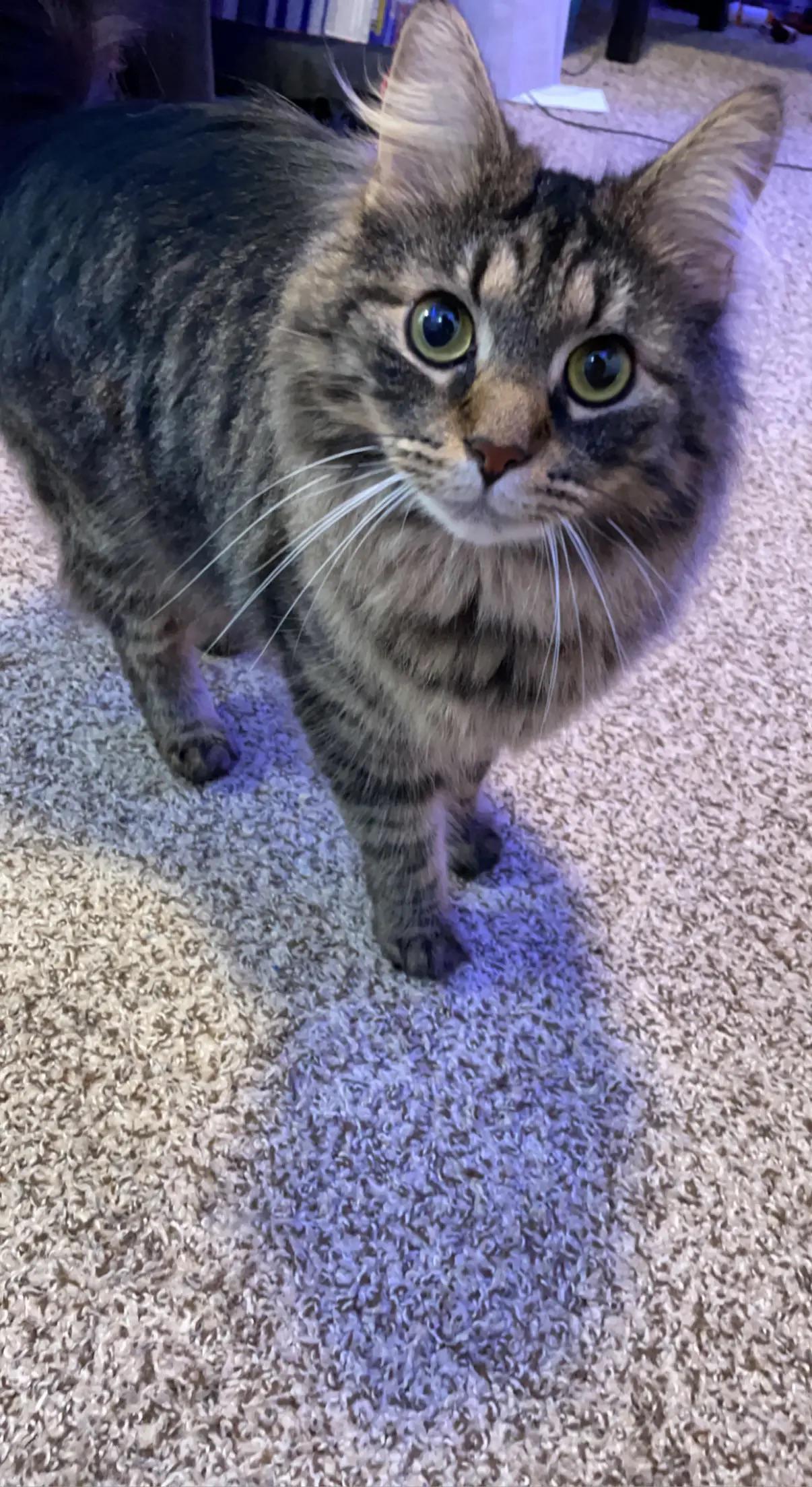 Had to give him a bath to get all the mud off him; he wasn’t happy! | Scrolller