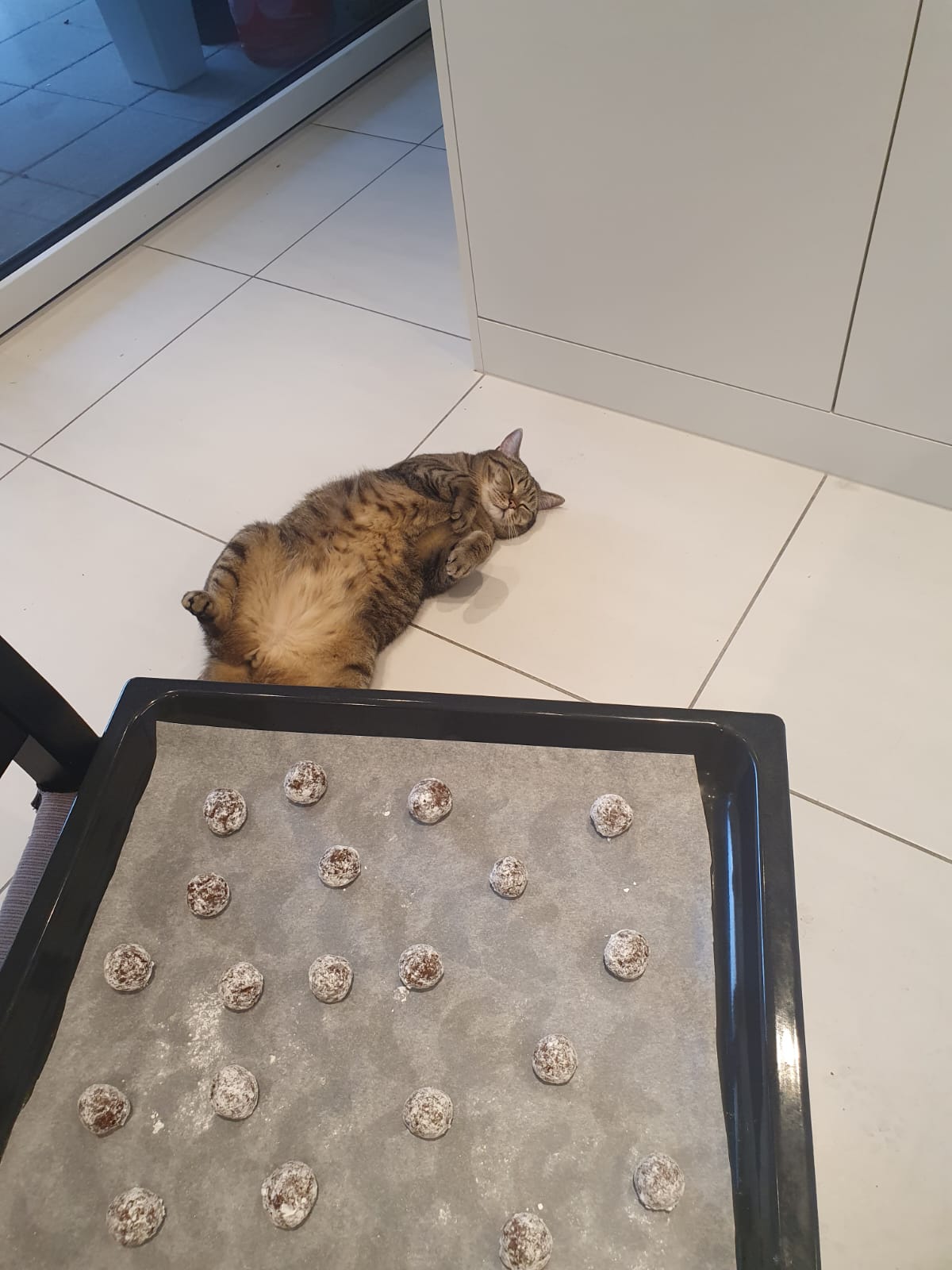 Say hi to Hans-Peter | Scrolller