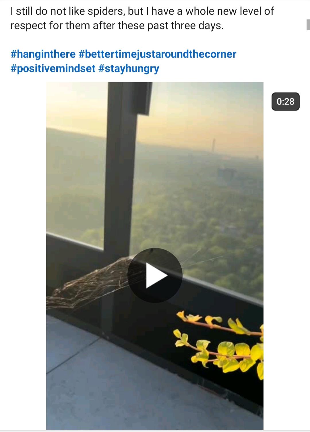 Discover more like LinkedInLunatics: Here's what goddamn SPIDERS taught this jackwagon about B2B ...