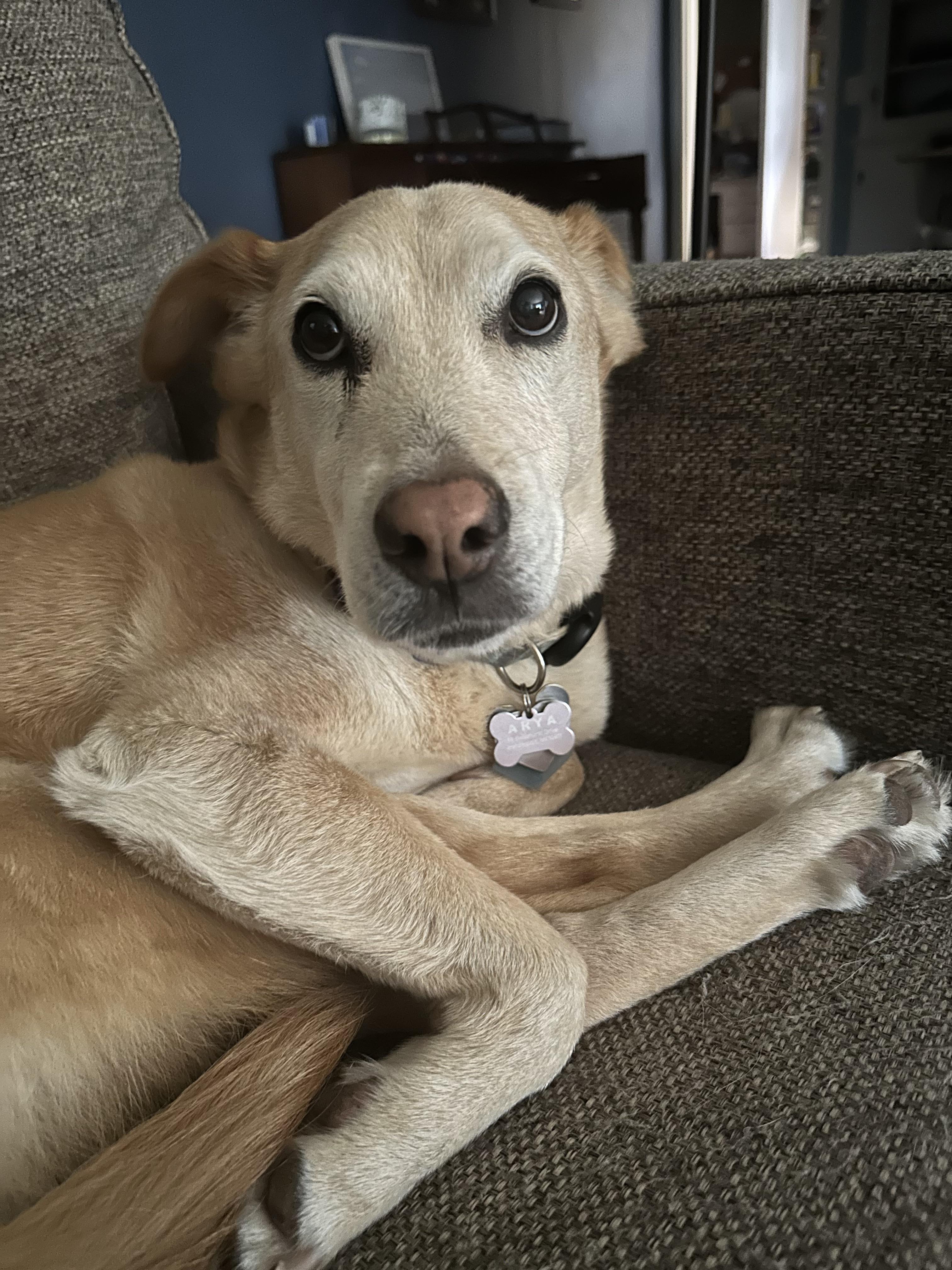 I’ll never understand how she finds this comfortable | Scrolller