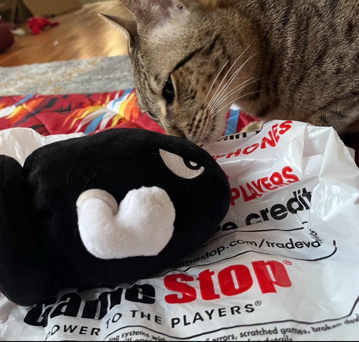 Rowan’s favorite toystore is GameStop | Scrolller