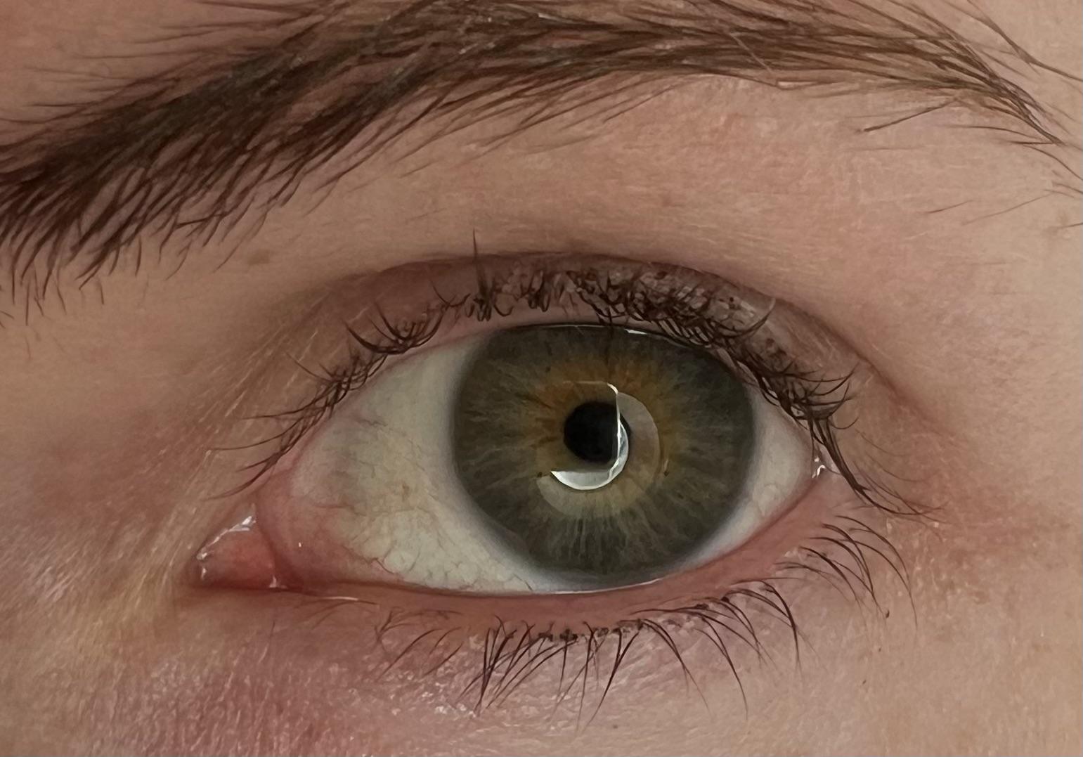 Is this hazel???? | Scrolller