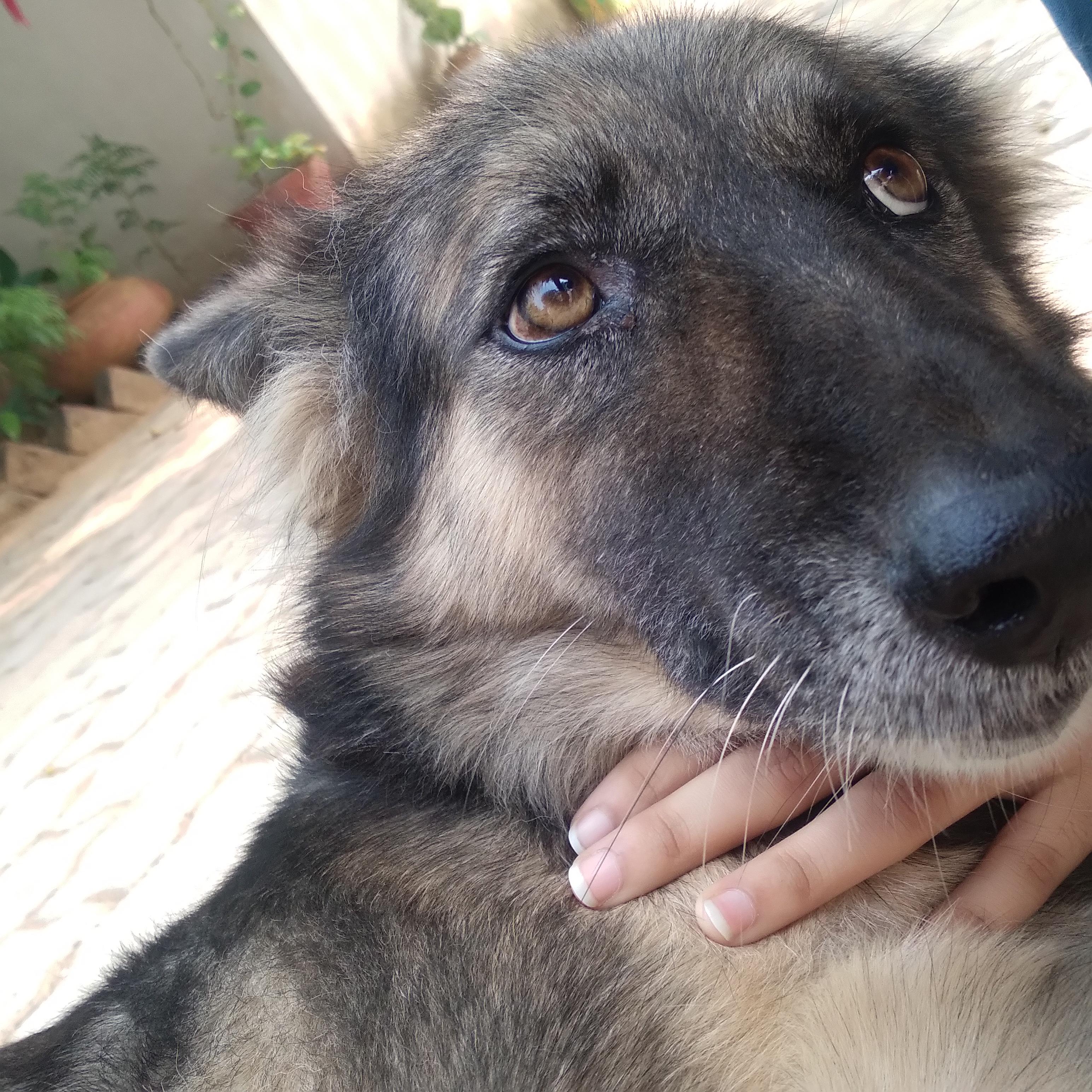 Discover more like Aww: I swear i won't look at her ... and Related Content | Scrolller