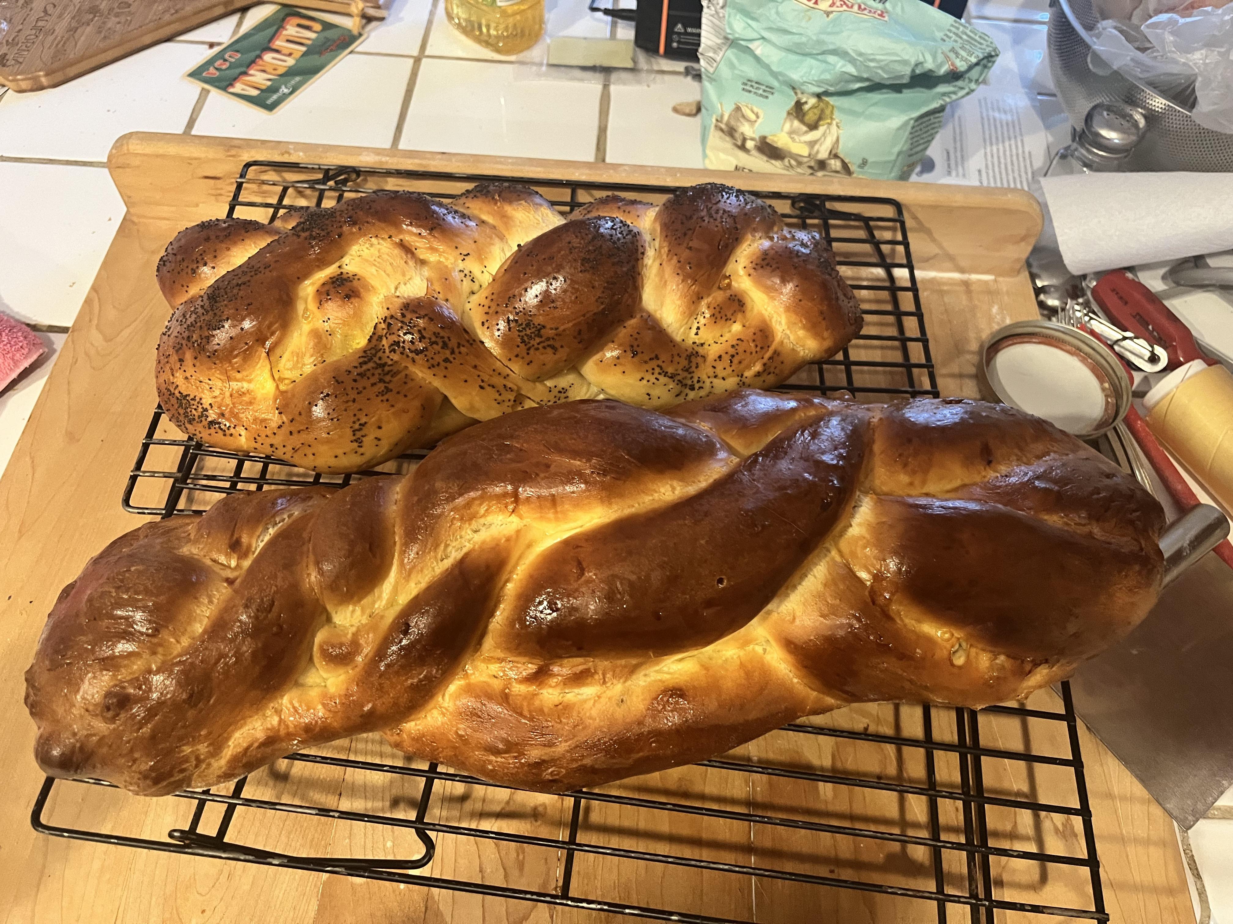 Discover more like Breadit: Challah bread and Related Content | Scrolller