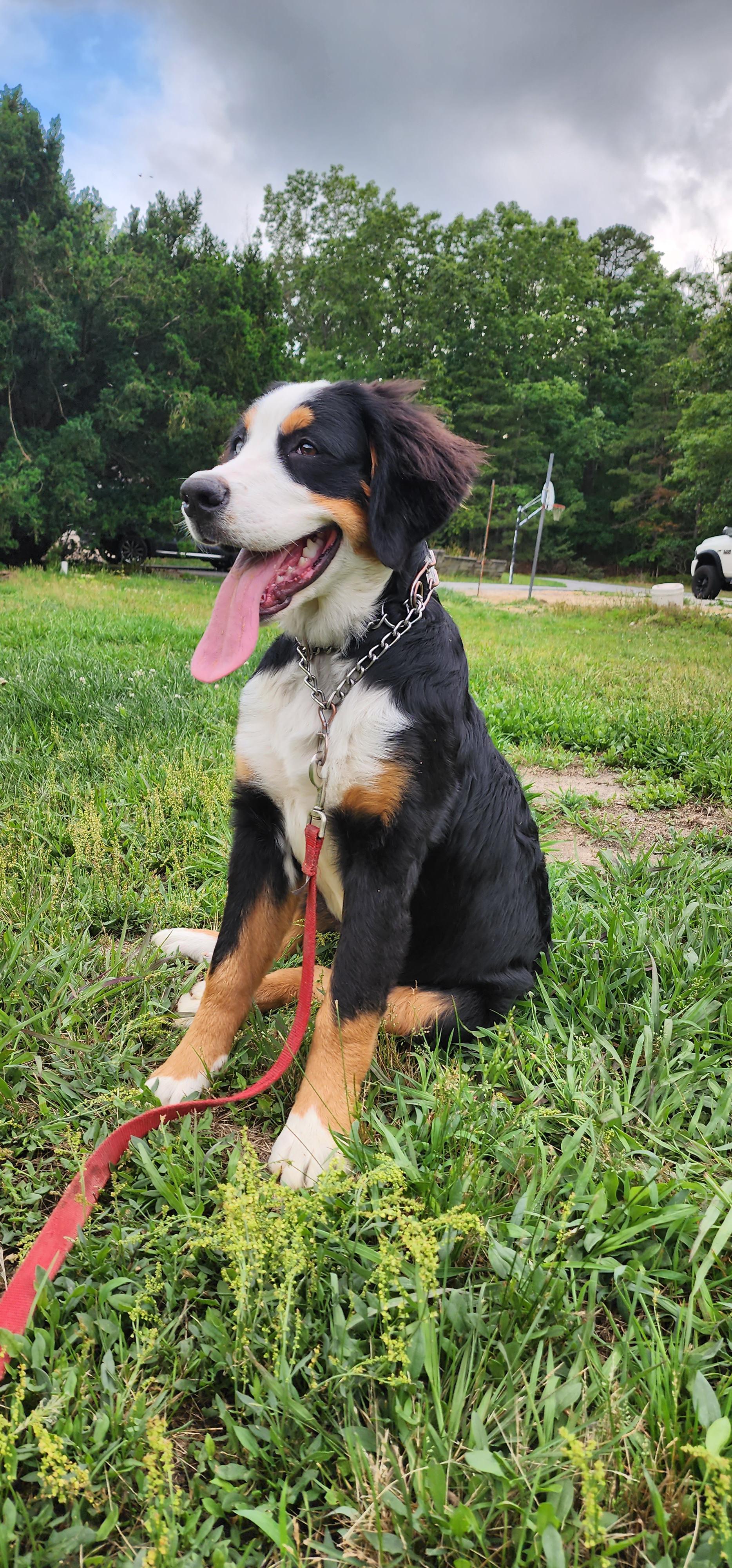 6 months!! | Scrolller