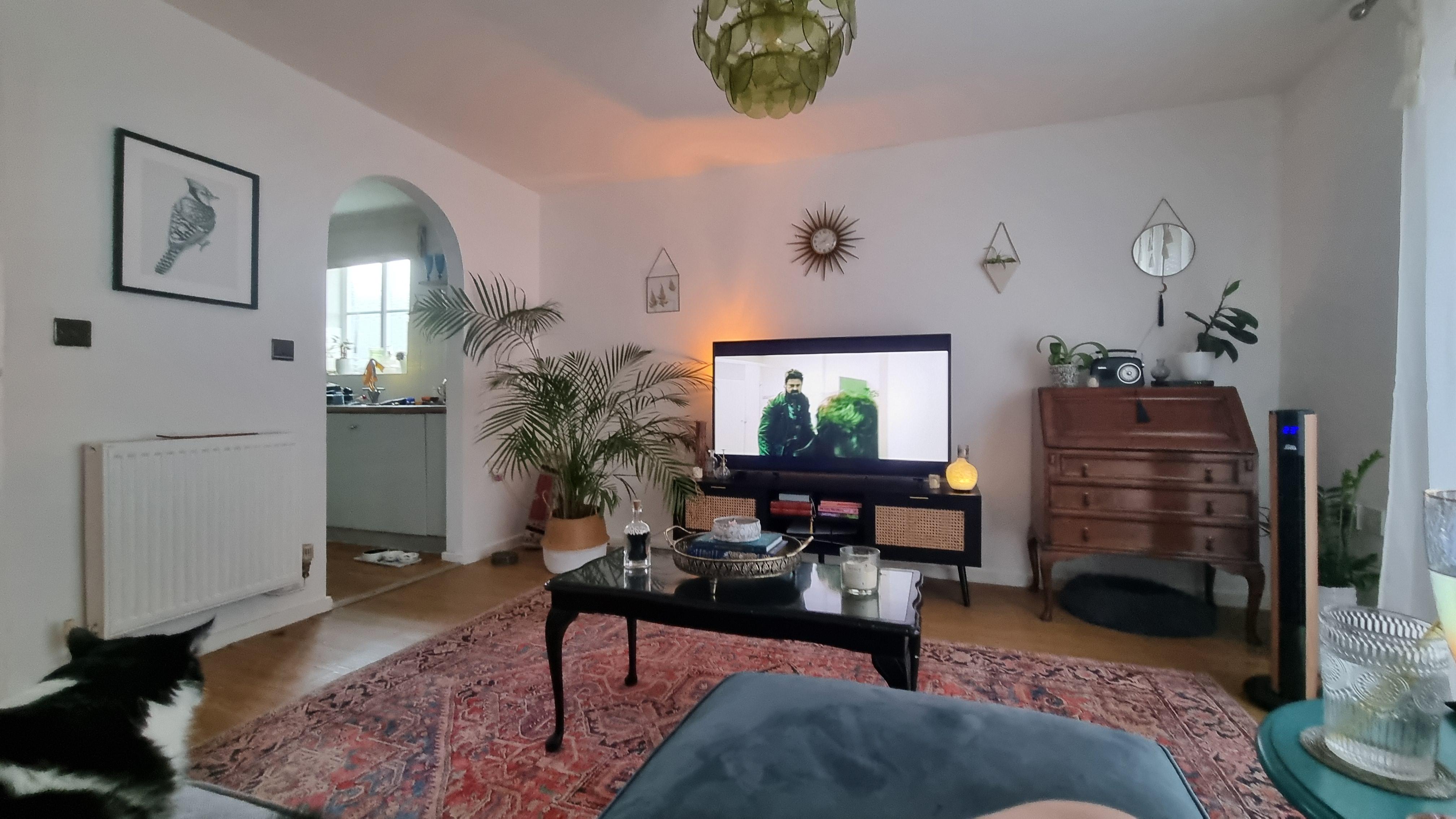 What colour should I paint the walls? | Scrolller