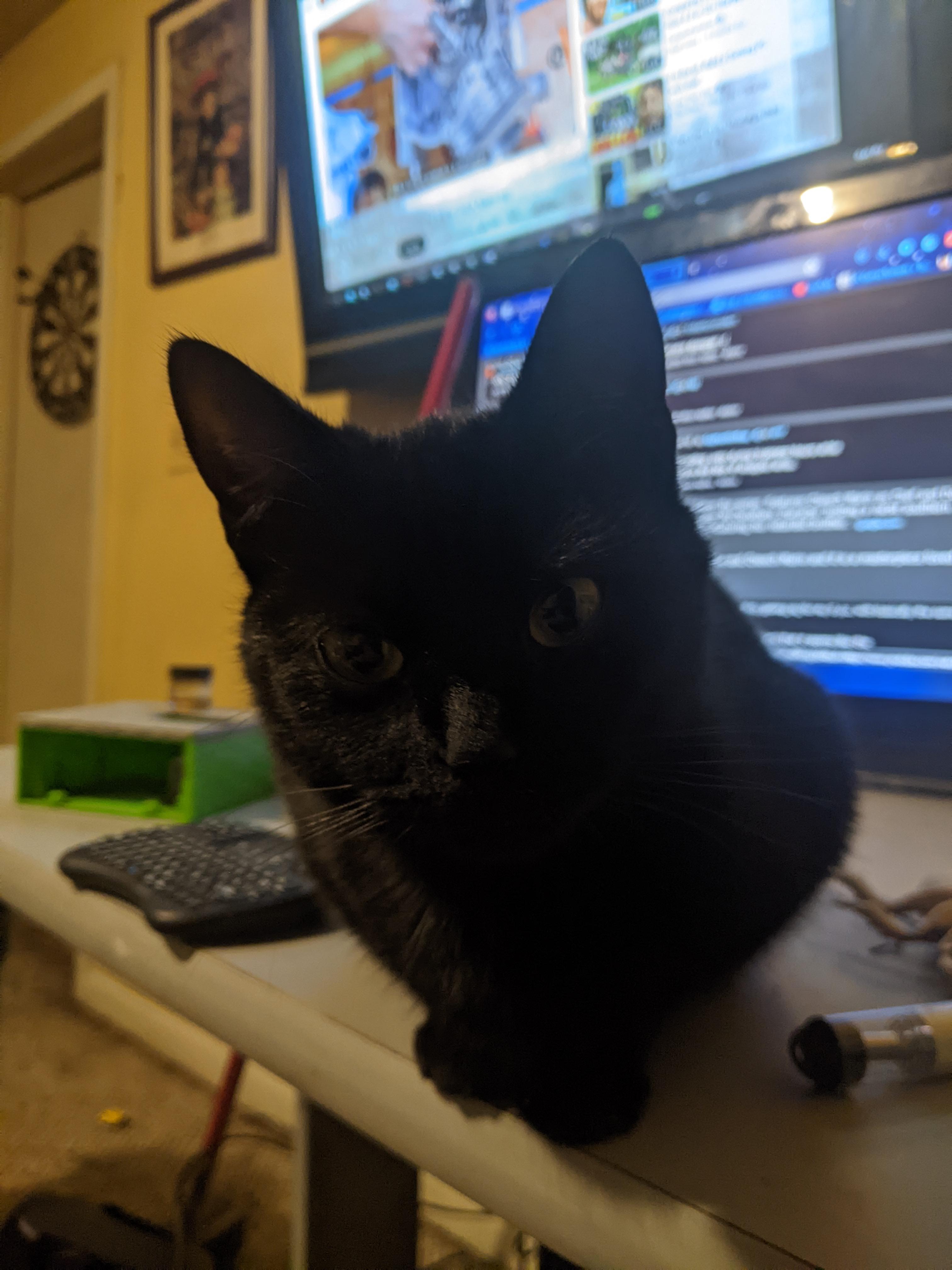 Meet Pickle Berry she is the void | Scrolller