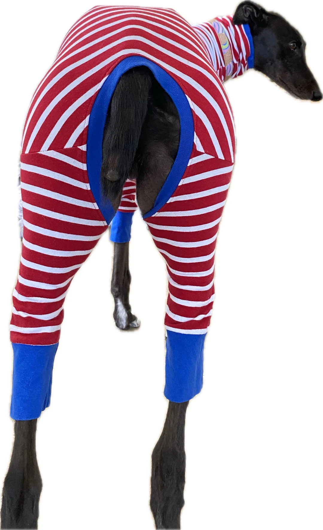 enjoy the snoot bootie | Scrolller