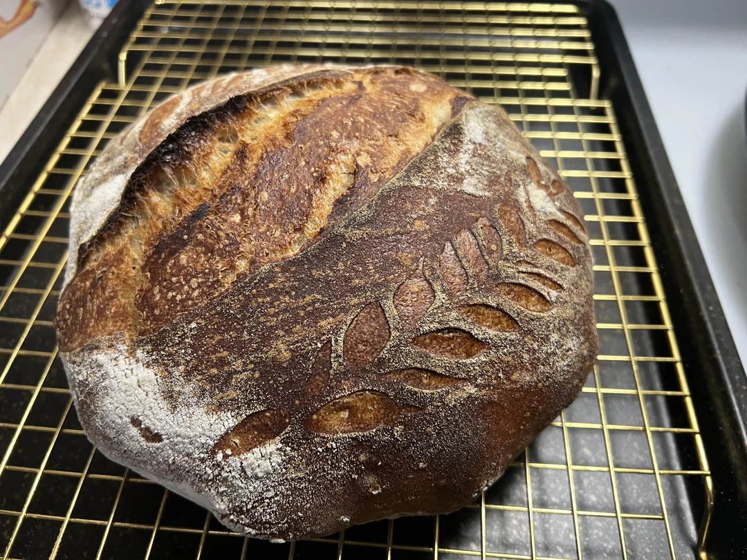 Finally managed to make sourdough with this starter | Scrolller