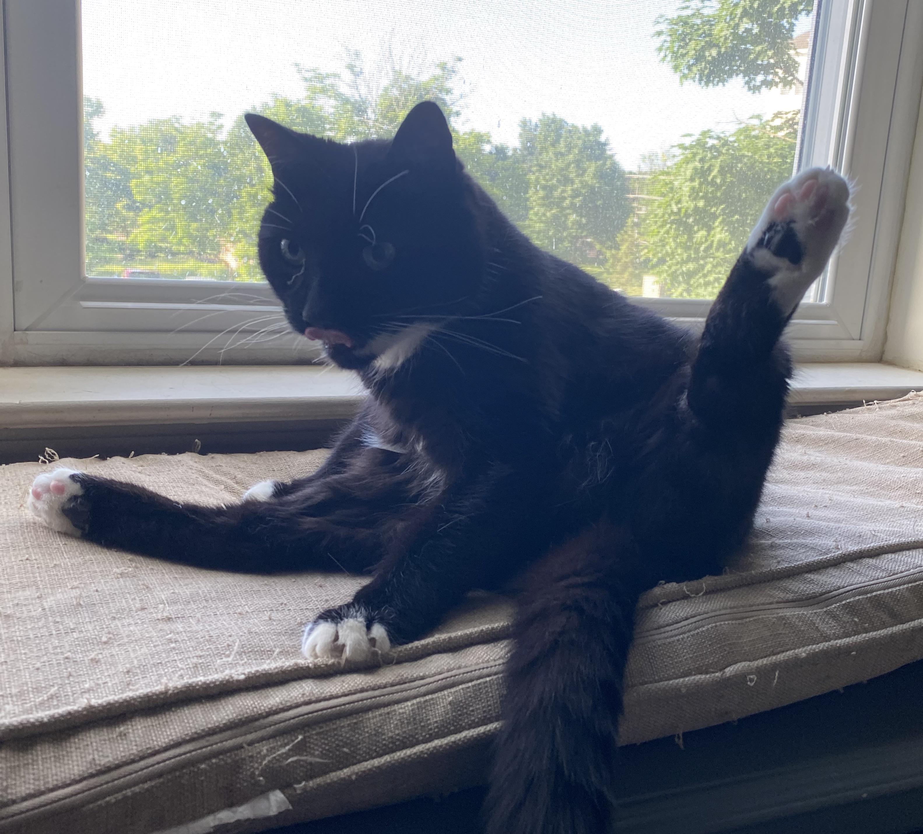 Toes out Tuesday | Scrolller