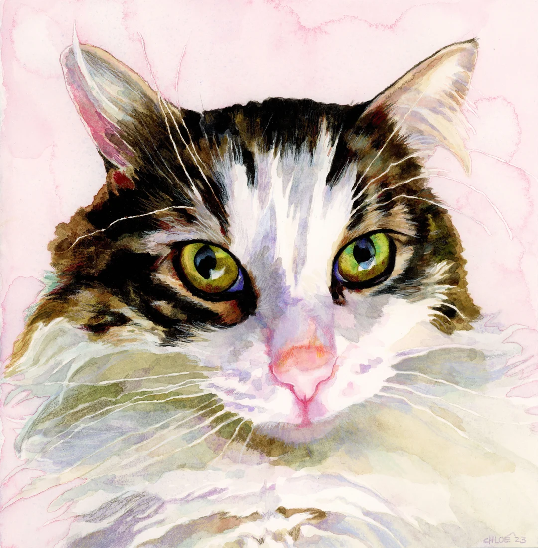 Milo, holladollameatballa, watercolor, 2023 | Scrolller