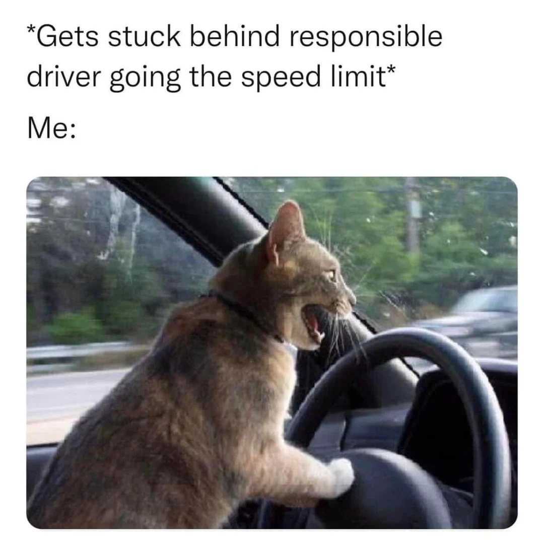 So relatable in Qatar, Lol🤣🤣 | Scrolller