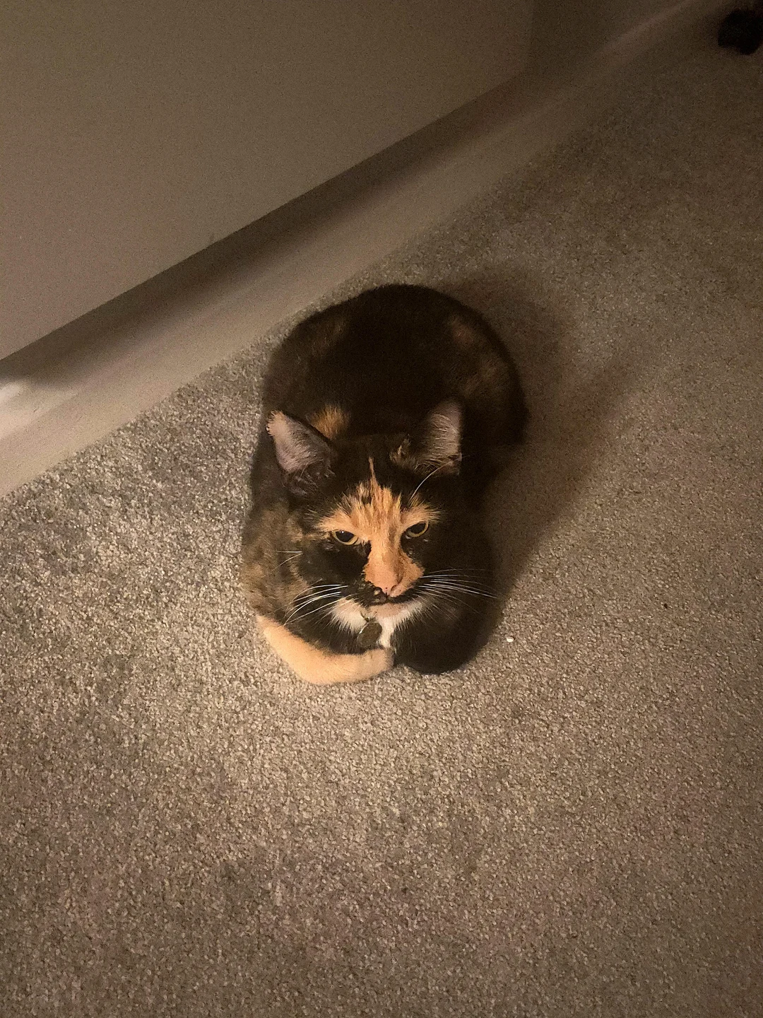 Mother...I finally have a plan. | Scrolller