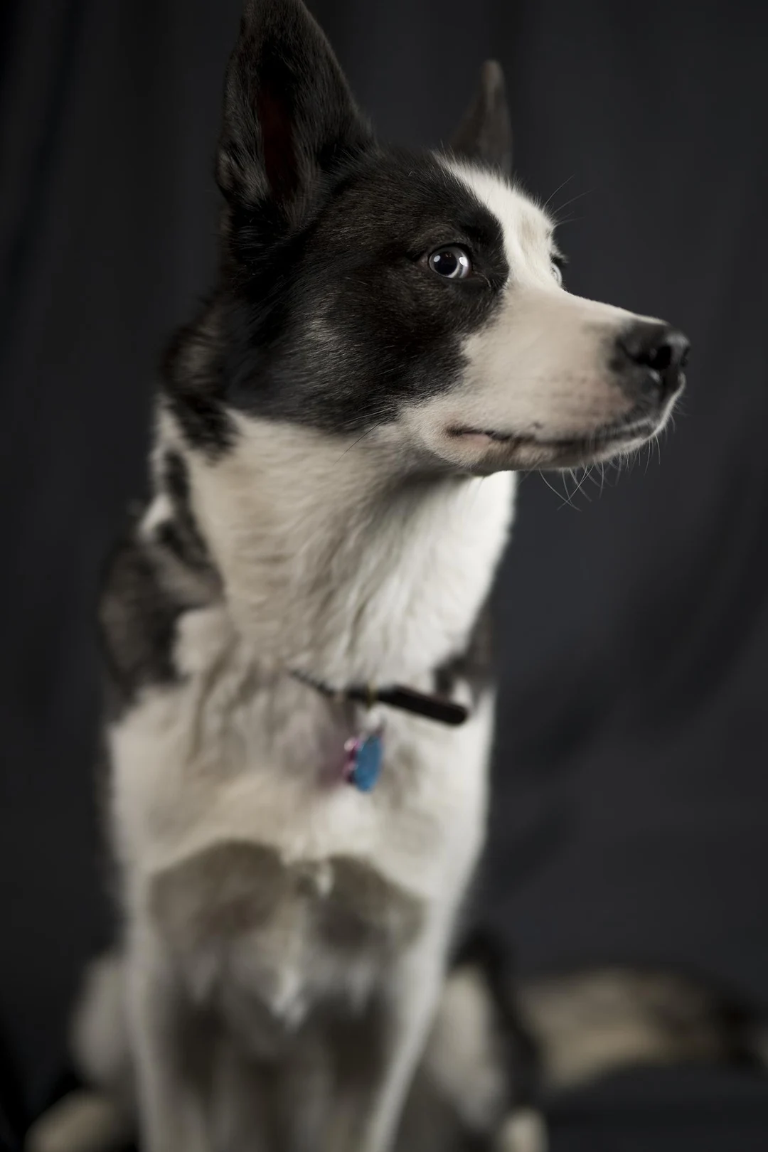 Morea was very suspicious of having her picture taken. | Scrolller