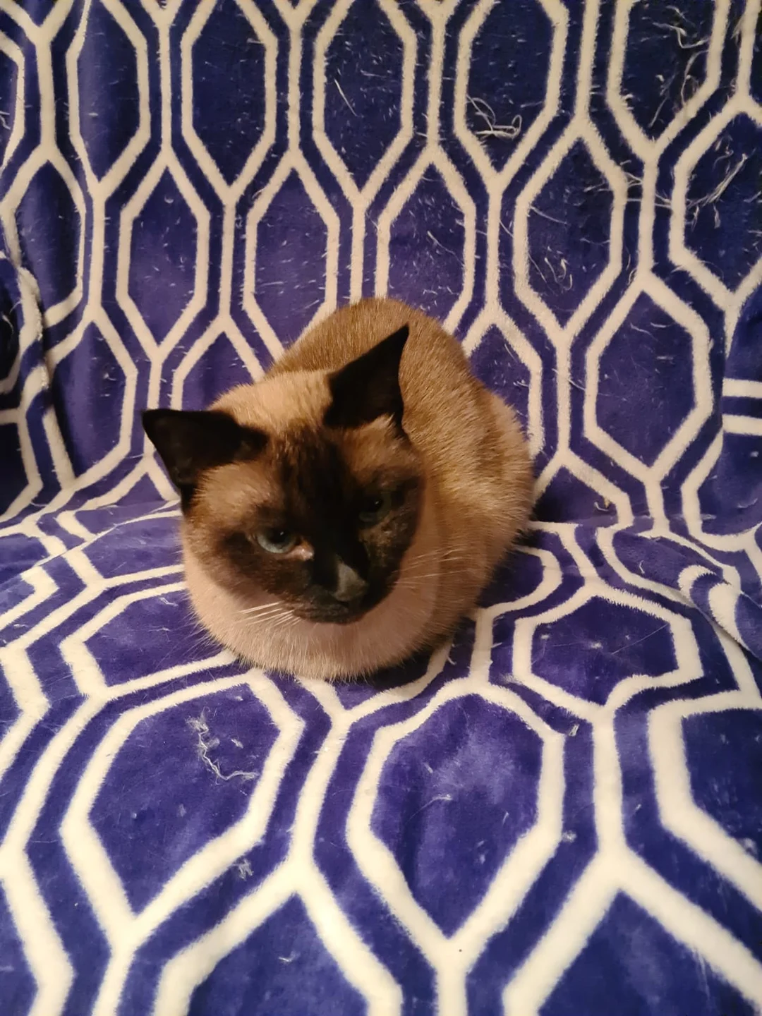 small loaf | Scrolller