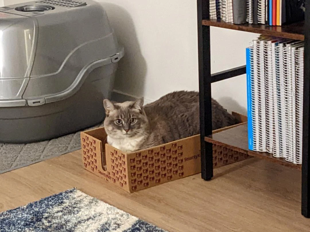 A loaf in the pan, fresh out of the oven | Scrolller