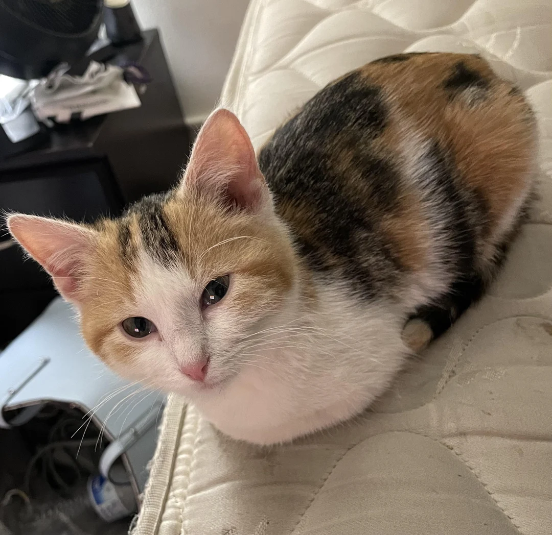 The tiniest loaf | Scrolller
