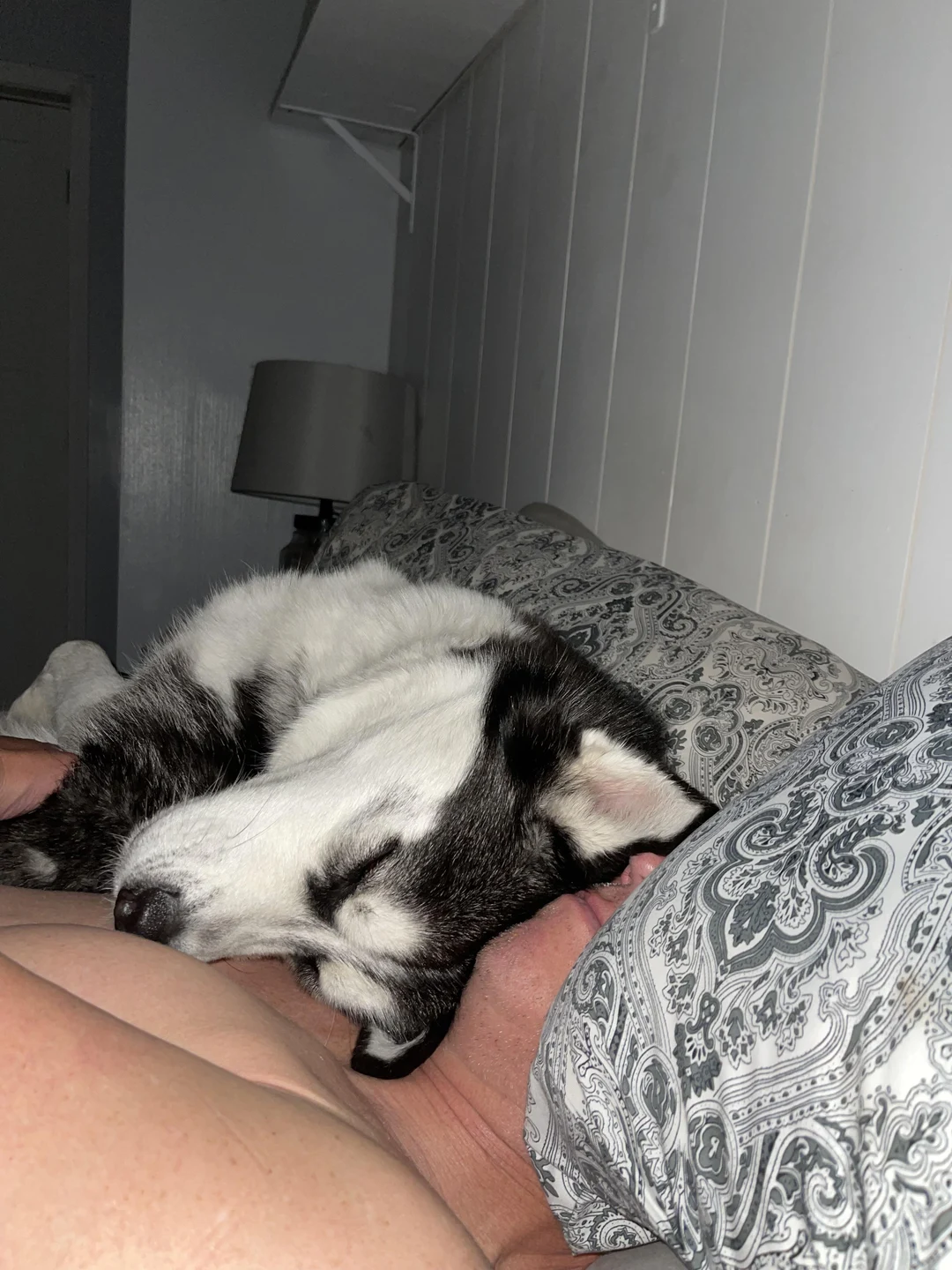 He does not know of this thing called “Personal Space”. | Scrolller