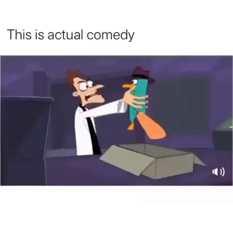 This is actual comedy | Scrolller