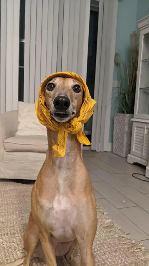 Spare change for a beggar? | Scrolller