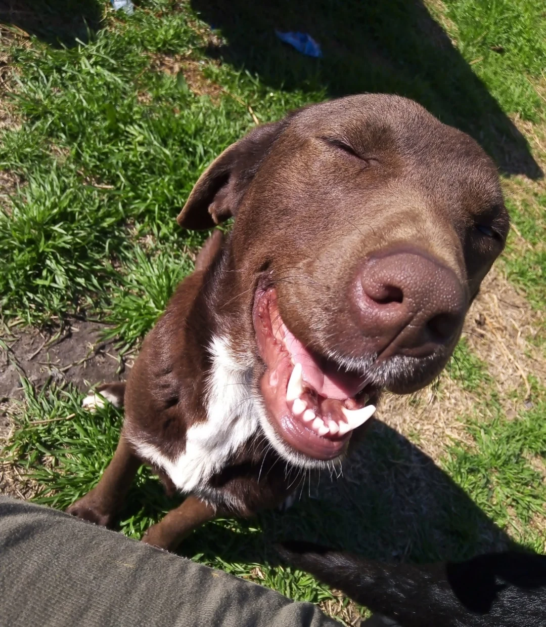 contagious smile 😄 | Scrolller