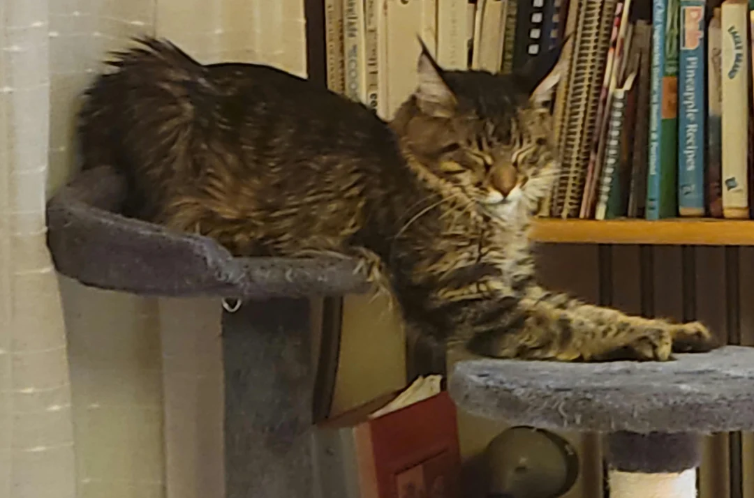 Multi-level napping | Scrolller