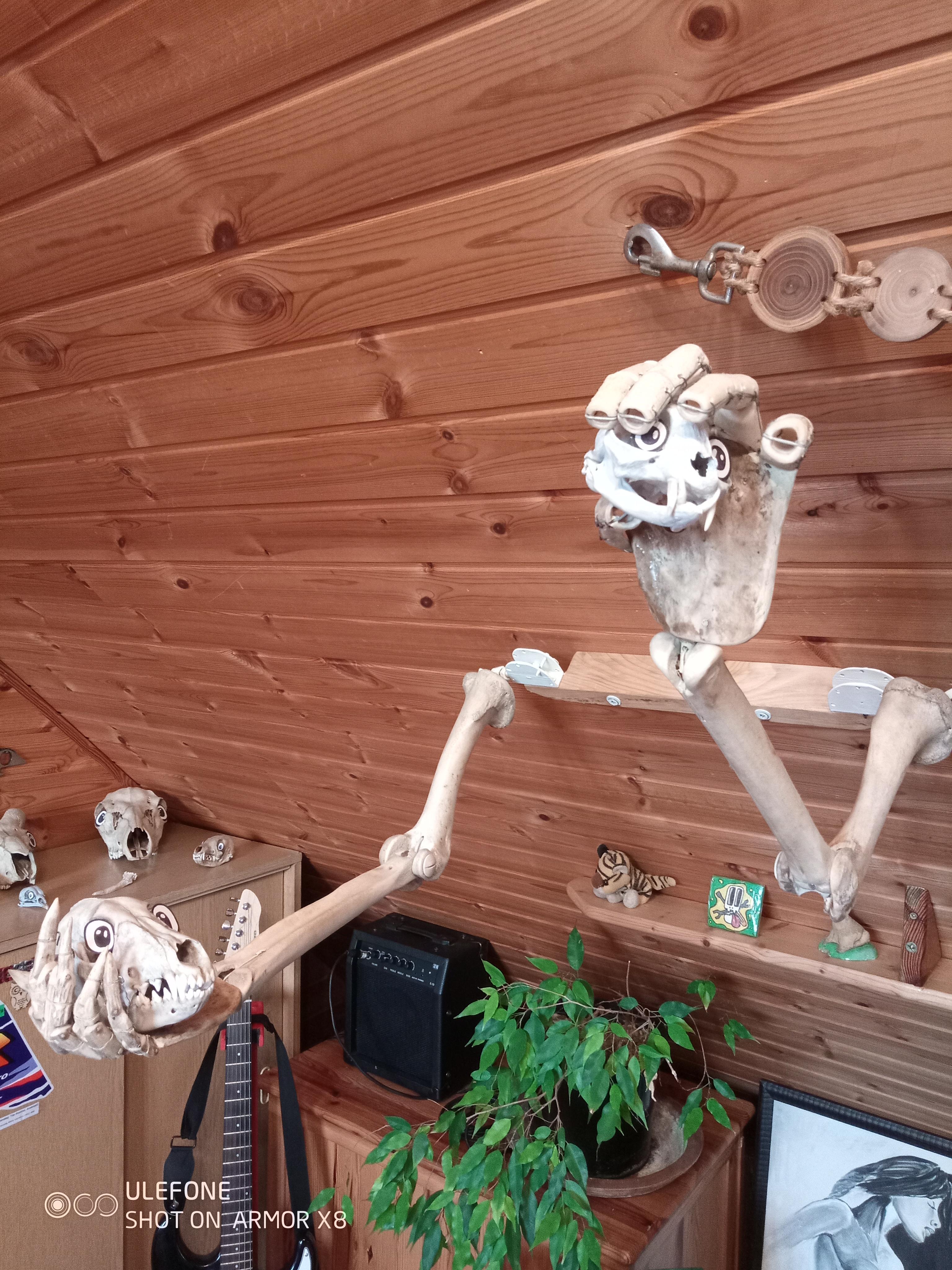 Handful of bones | Scrolller