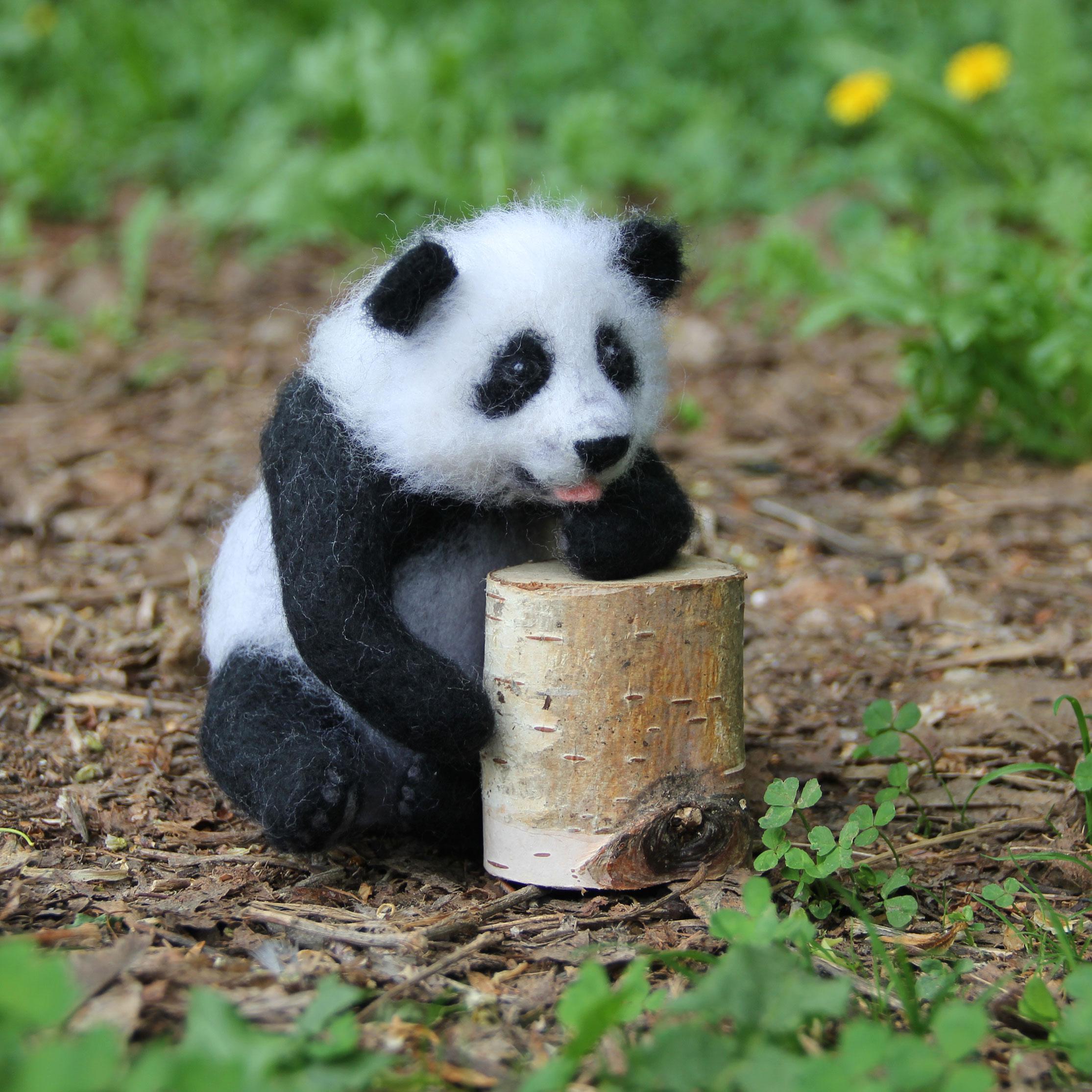 Sweet panda, Me, wool, 2021 | Scrolller