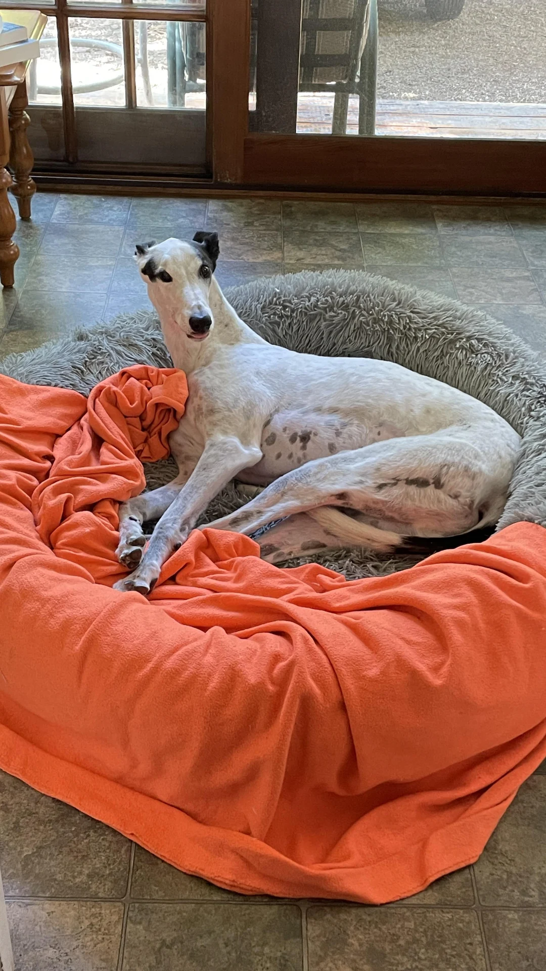 Tiny little mlep | Scrolller