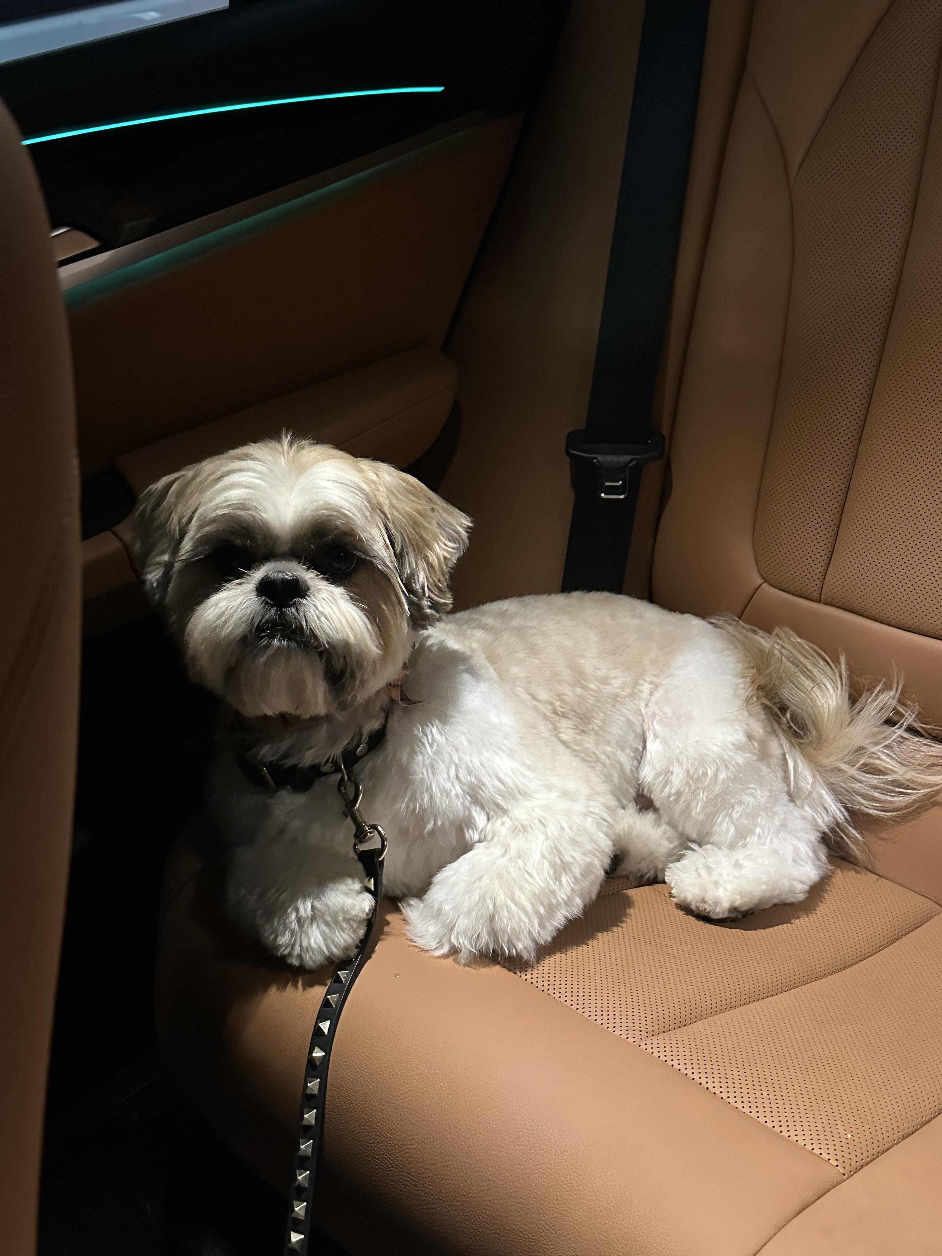 Fresh cut! | Scrolller