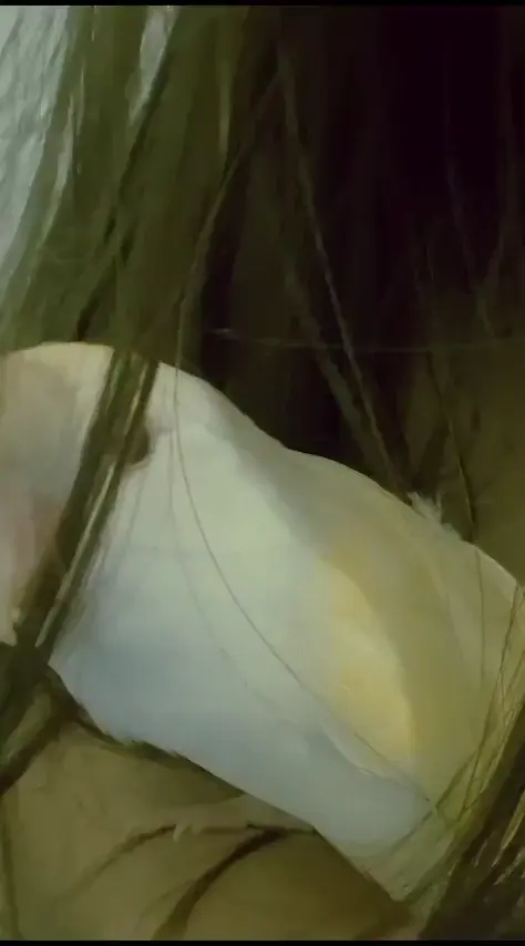 Fabulous | Scrolller