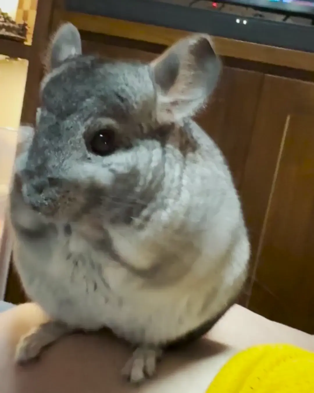 Face scrub | Scrolller