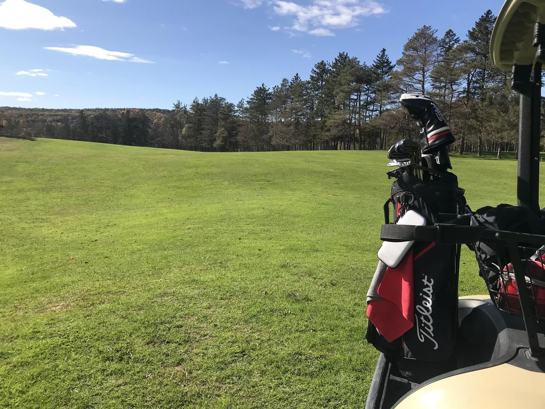 What are your last 8 scores? | Scrolller