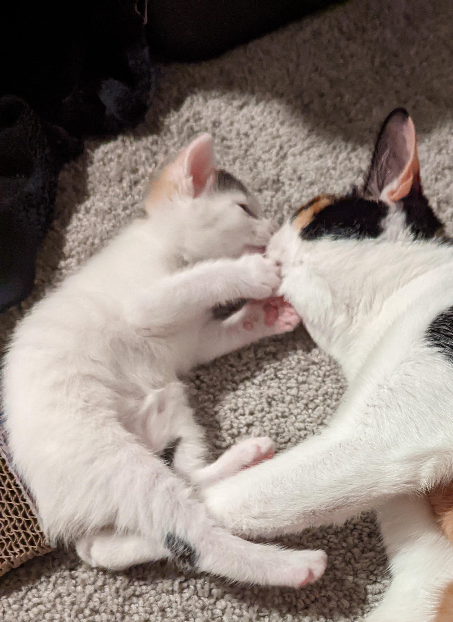 Mother and daughter share a special bond | Scrolller