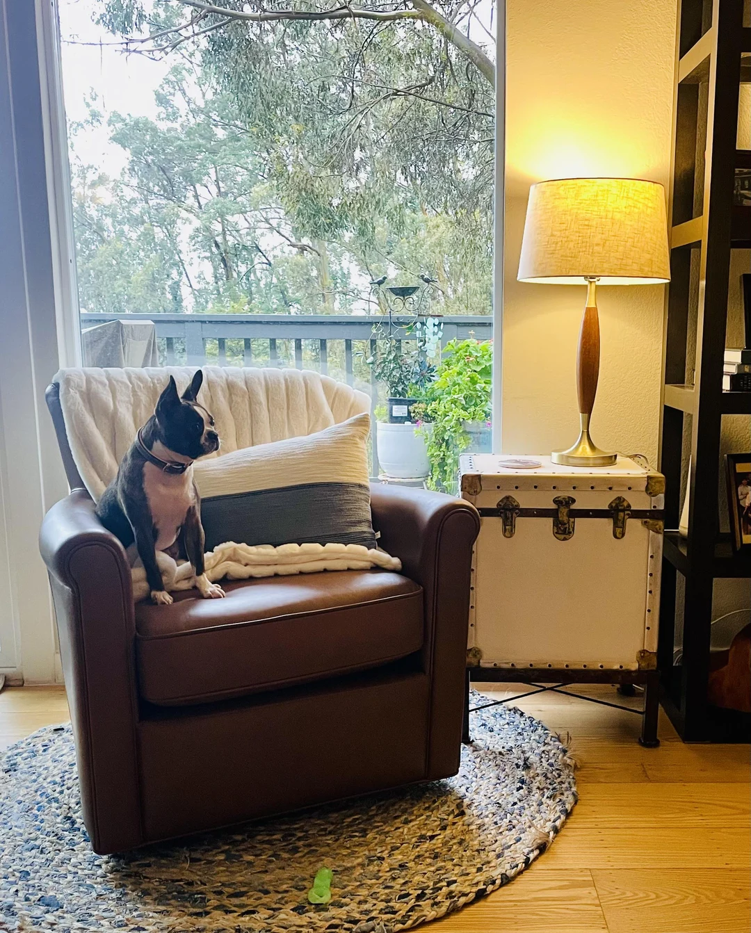 Reading Nook, finally done | Scrolller